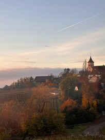 View from the breakfast room