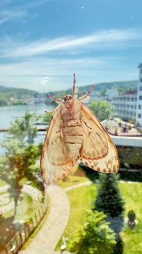 在房間照片,在溫泉貼滿全片玻璃