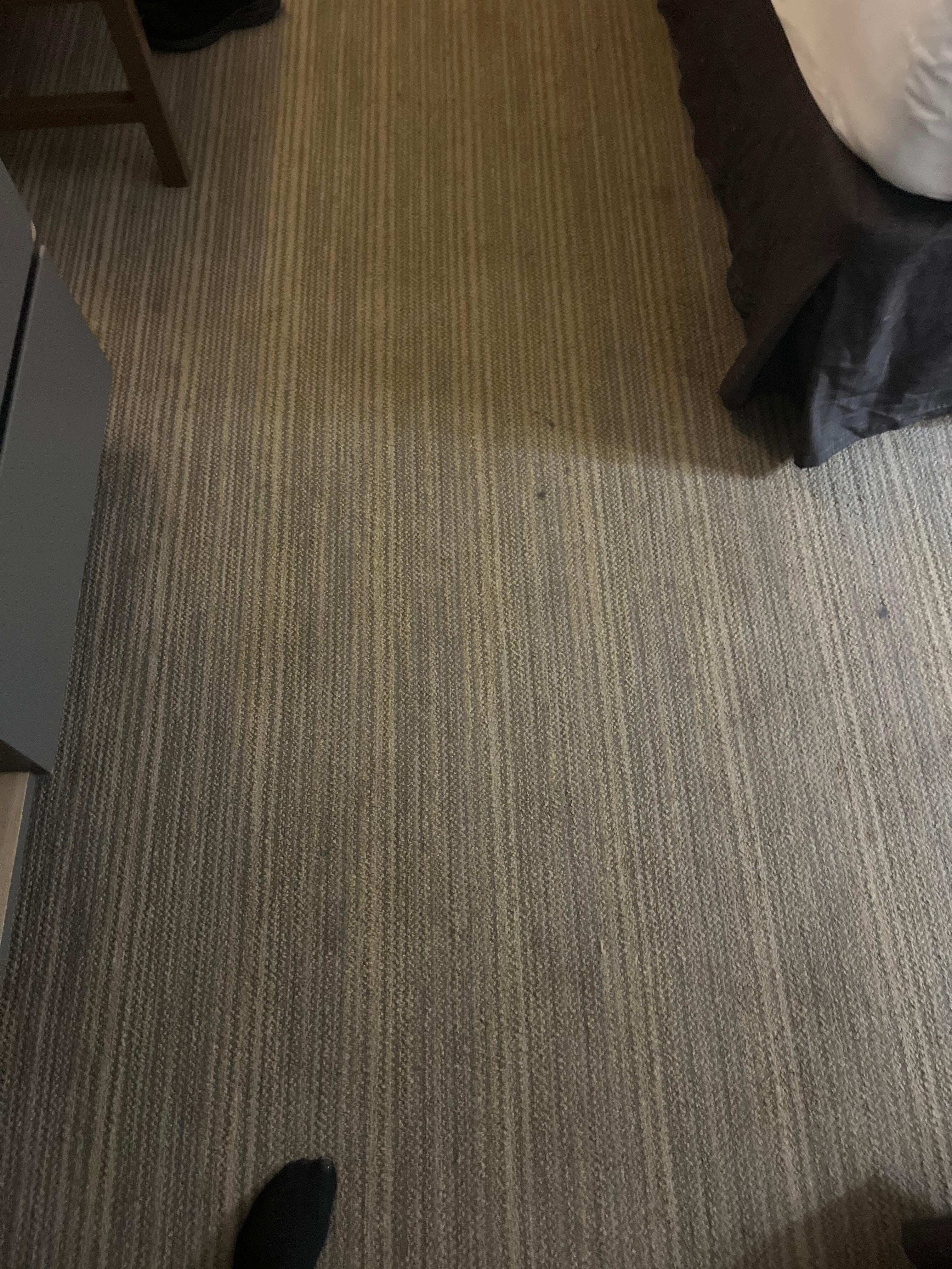 Dirty carpet 