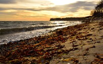 Stranden overfor hotellet på en kold december morgen