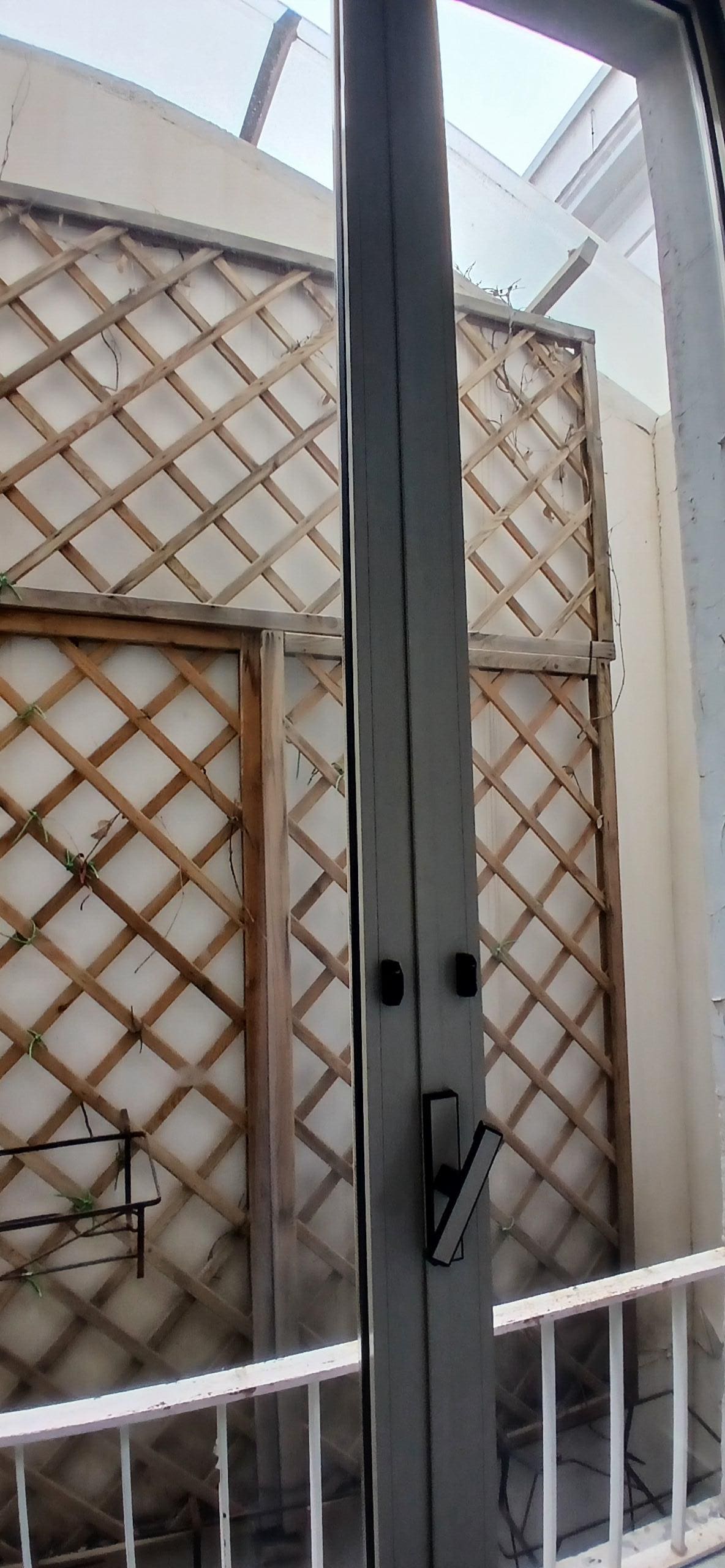 Outside our bedroom windows