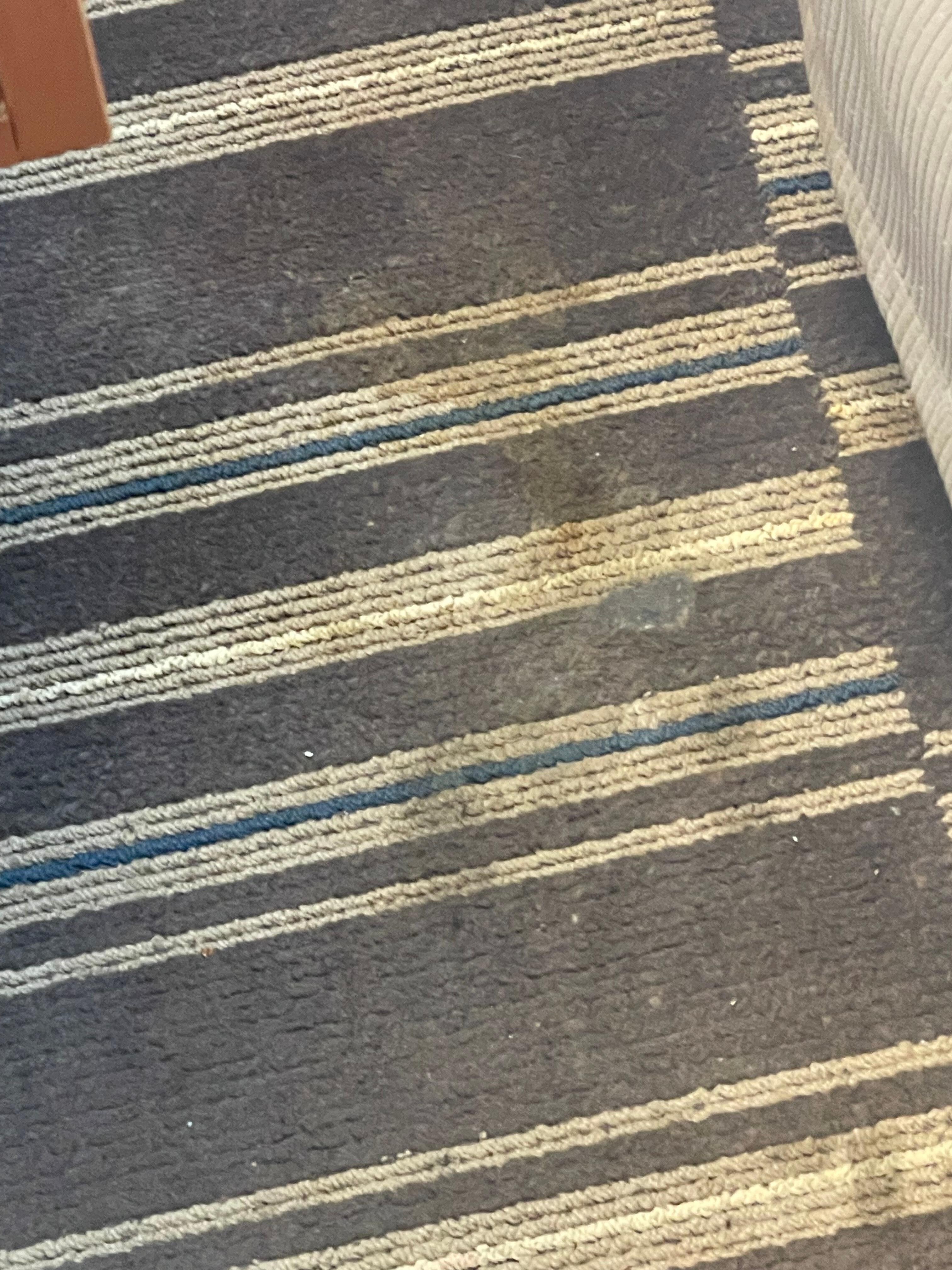 Throw up on carpet