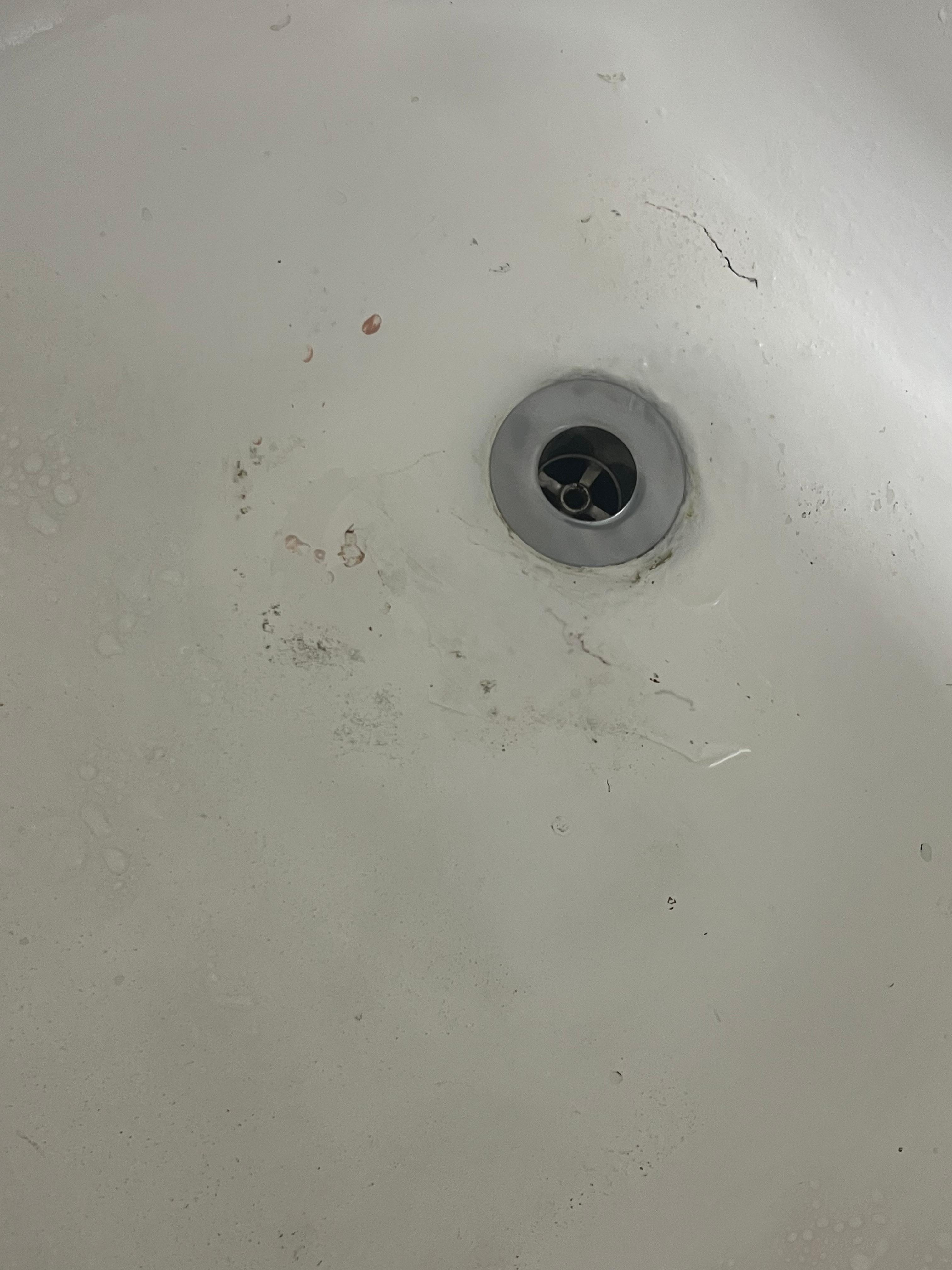 Not sure what this was in the tub