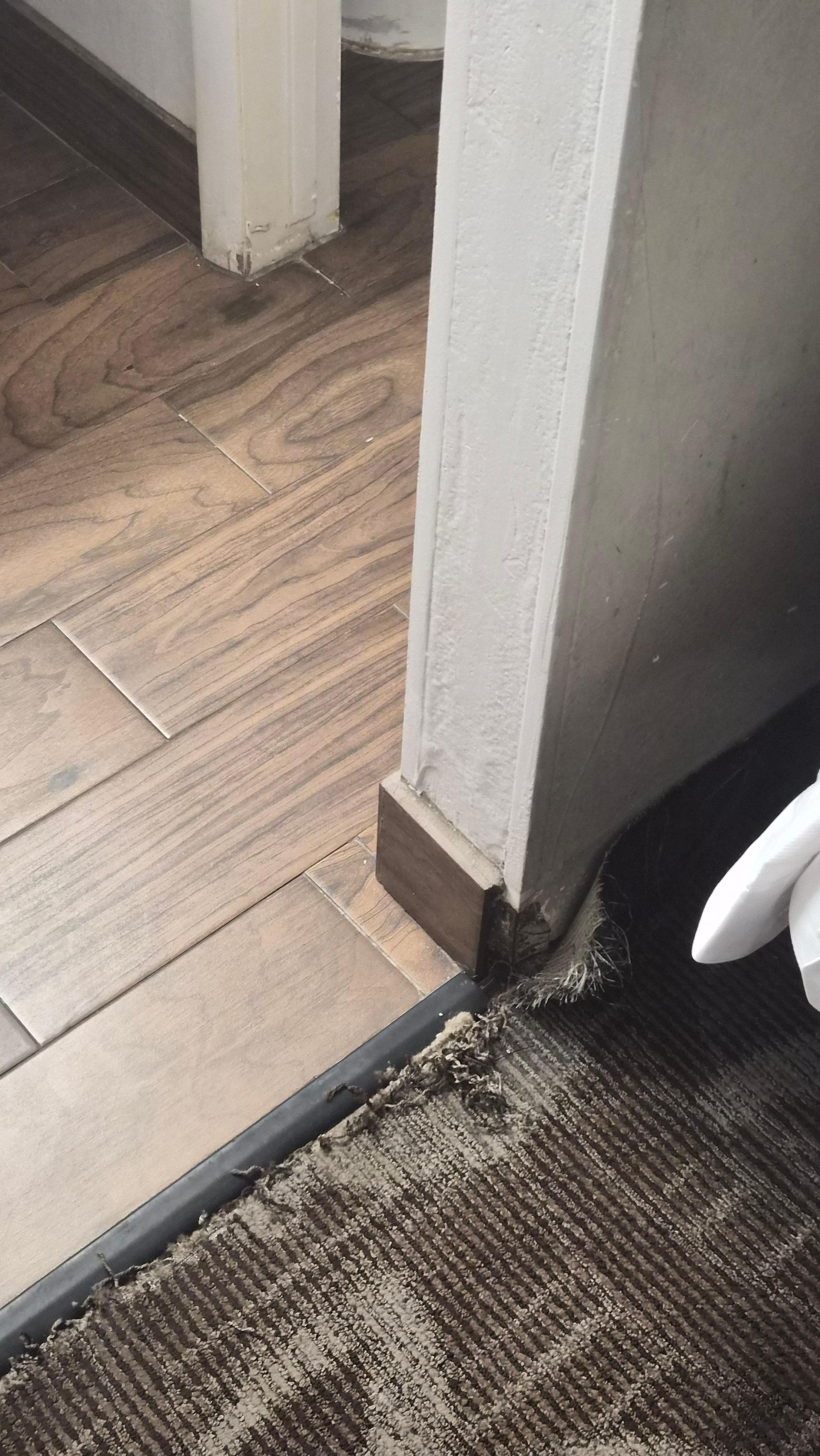 carpet coming loose and stains on floor near walls, shower smells...needs a good bleaching.