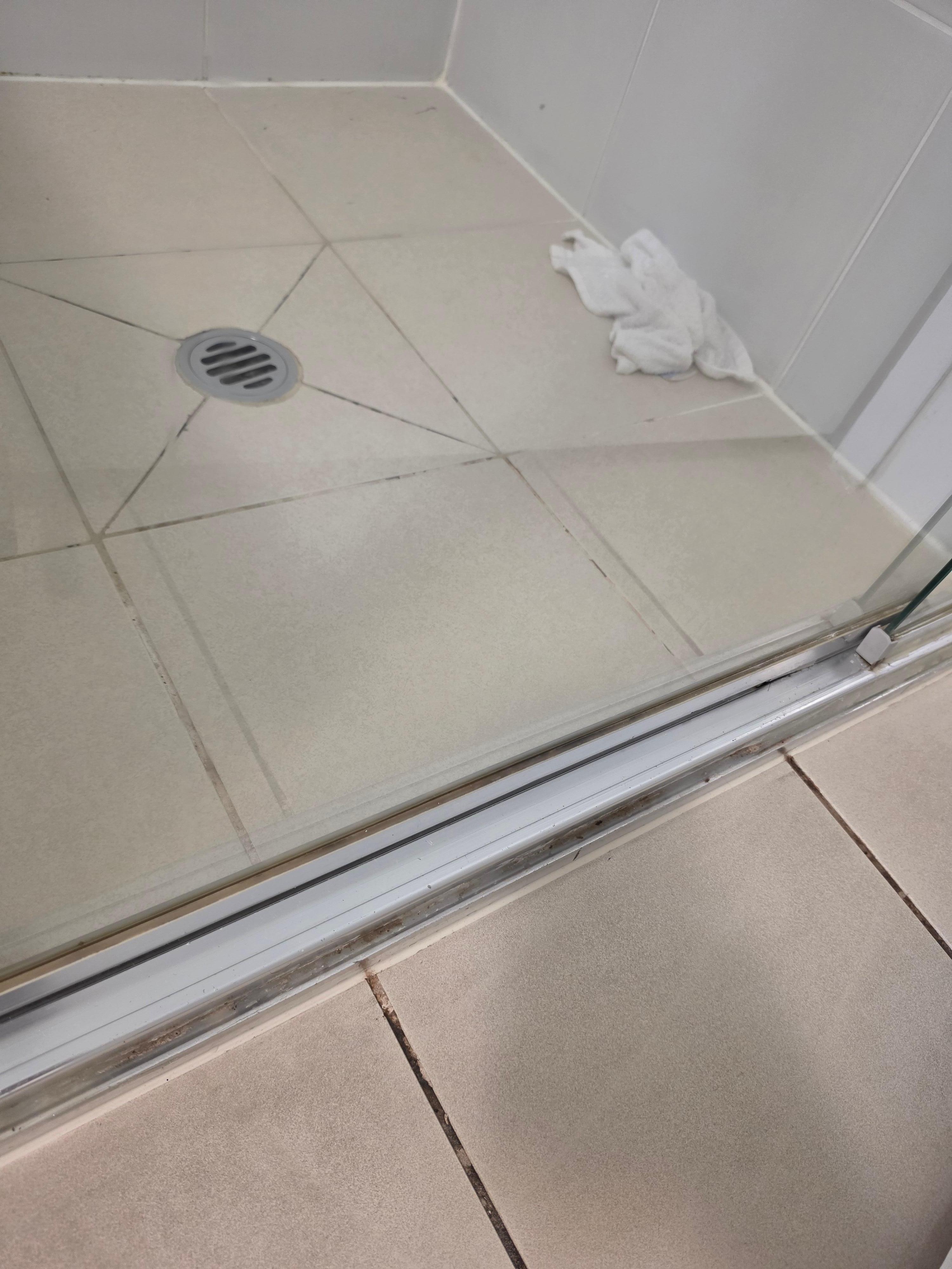 Black mould throughout the shower
