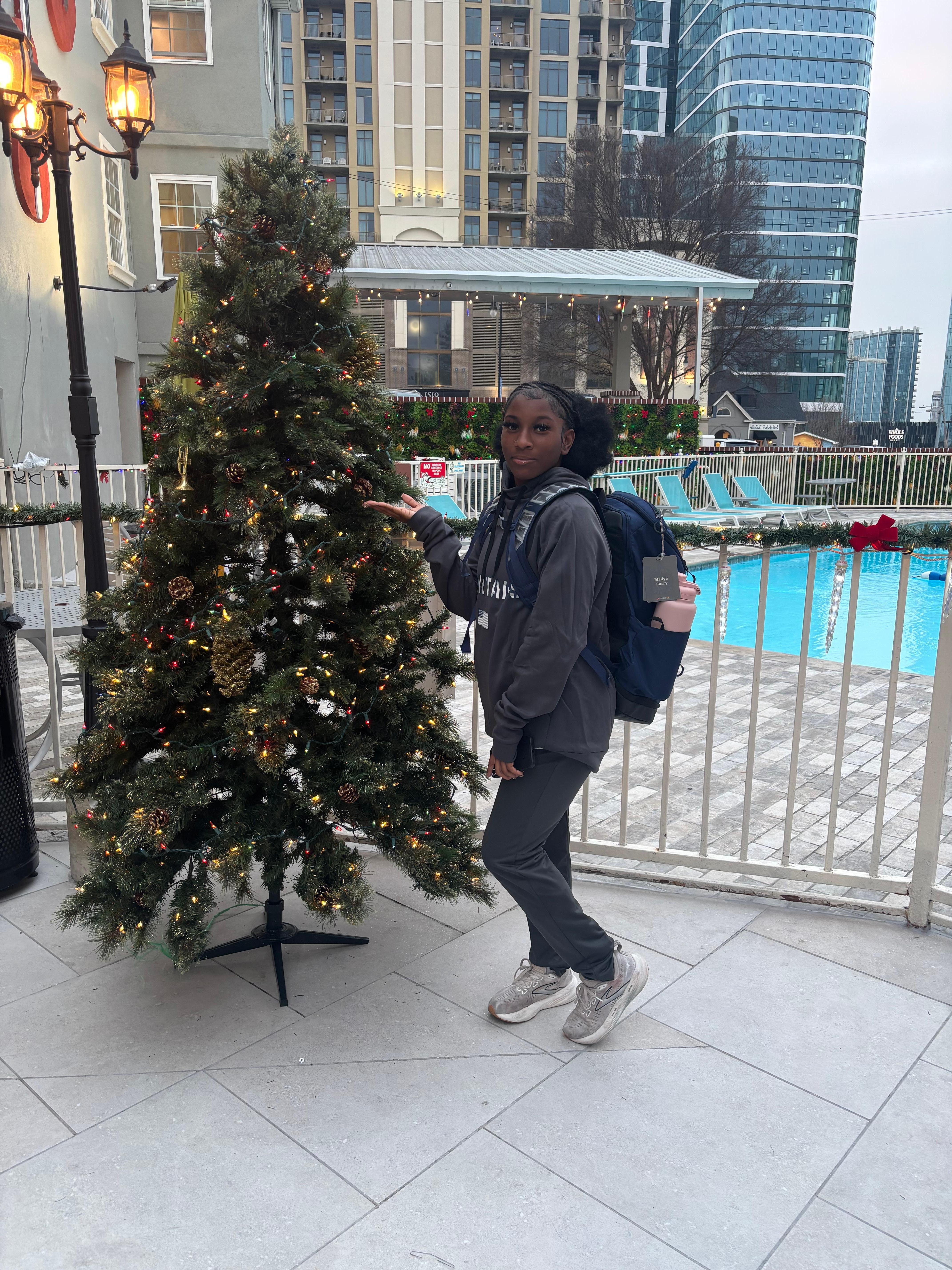 Exterior decoration for holidays 