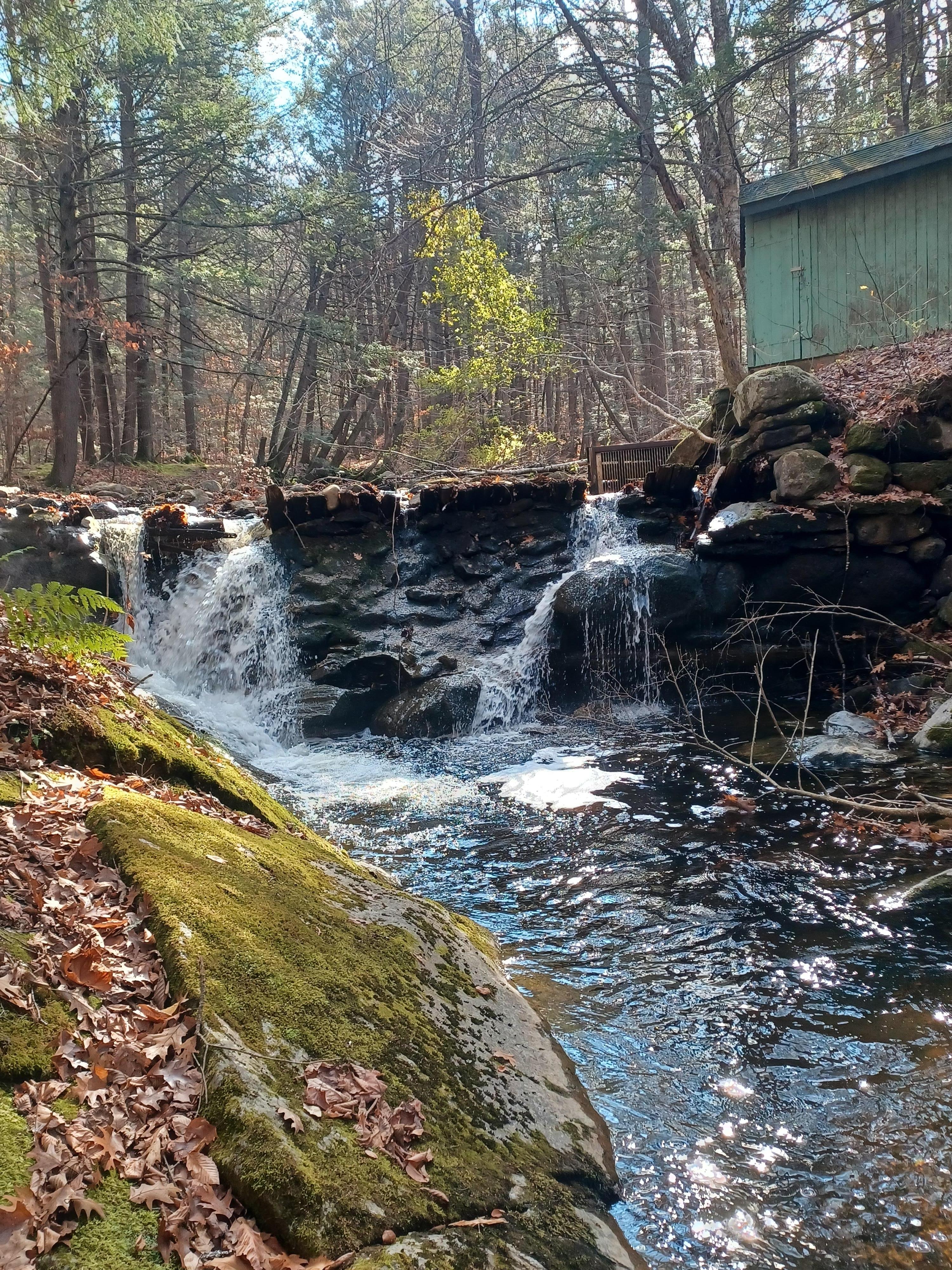Hiking trail right next to the resort. 