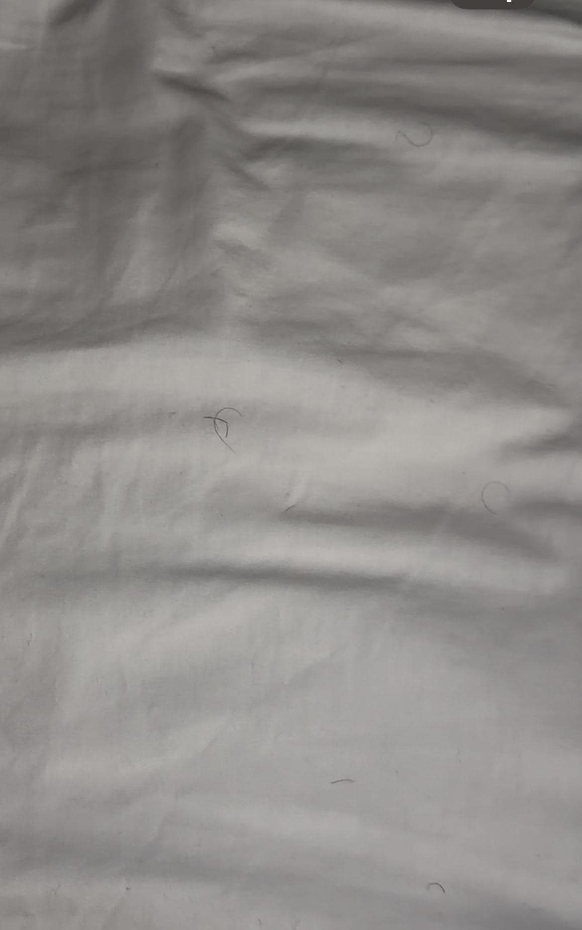 Sheets were covered in this short hairs on one of the rooms they tried to give me. 