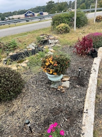 Landscaping in front