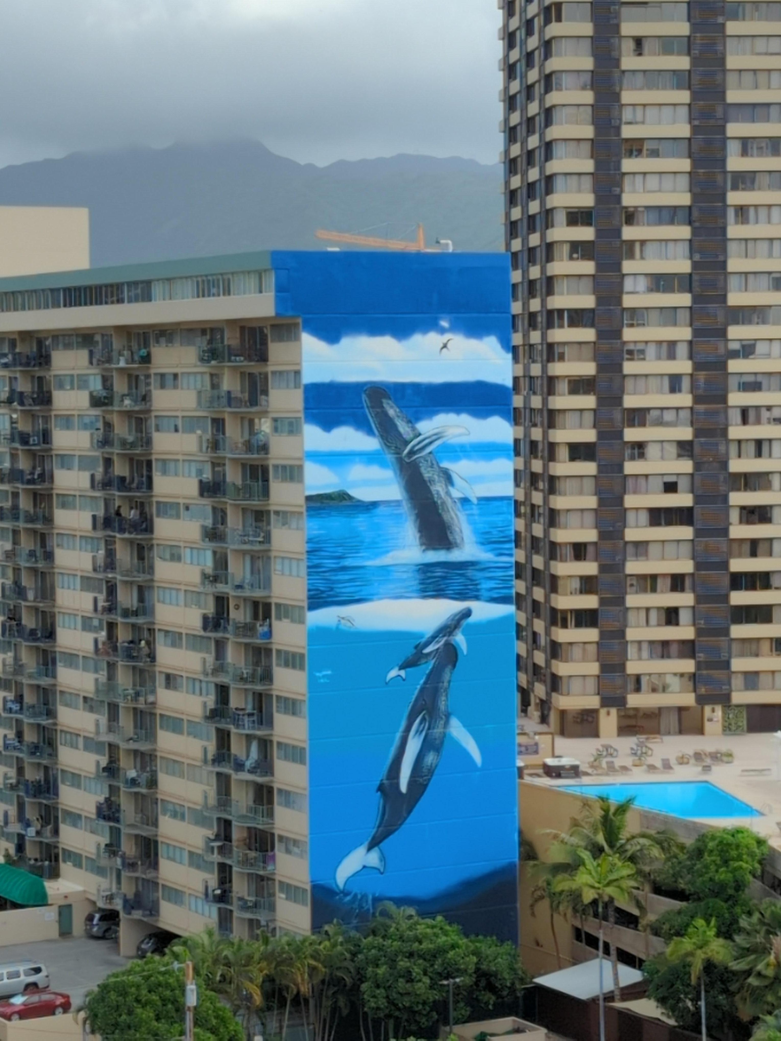 16th floor - whale 🐋 mural