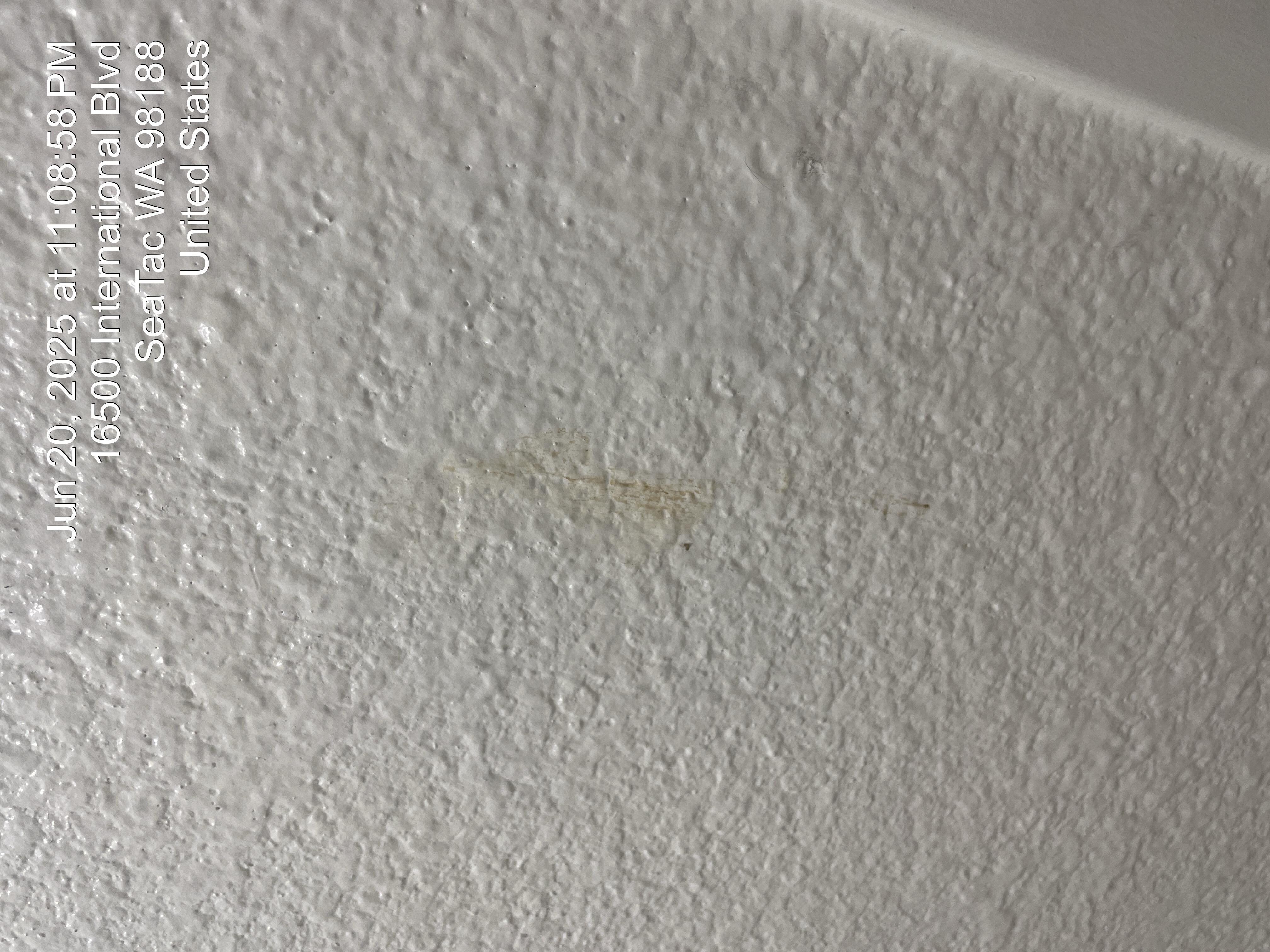 Poop and blood smeared in the wall