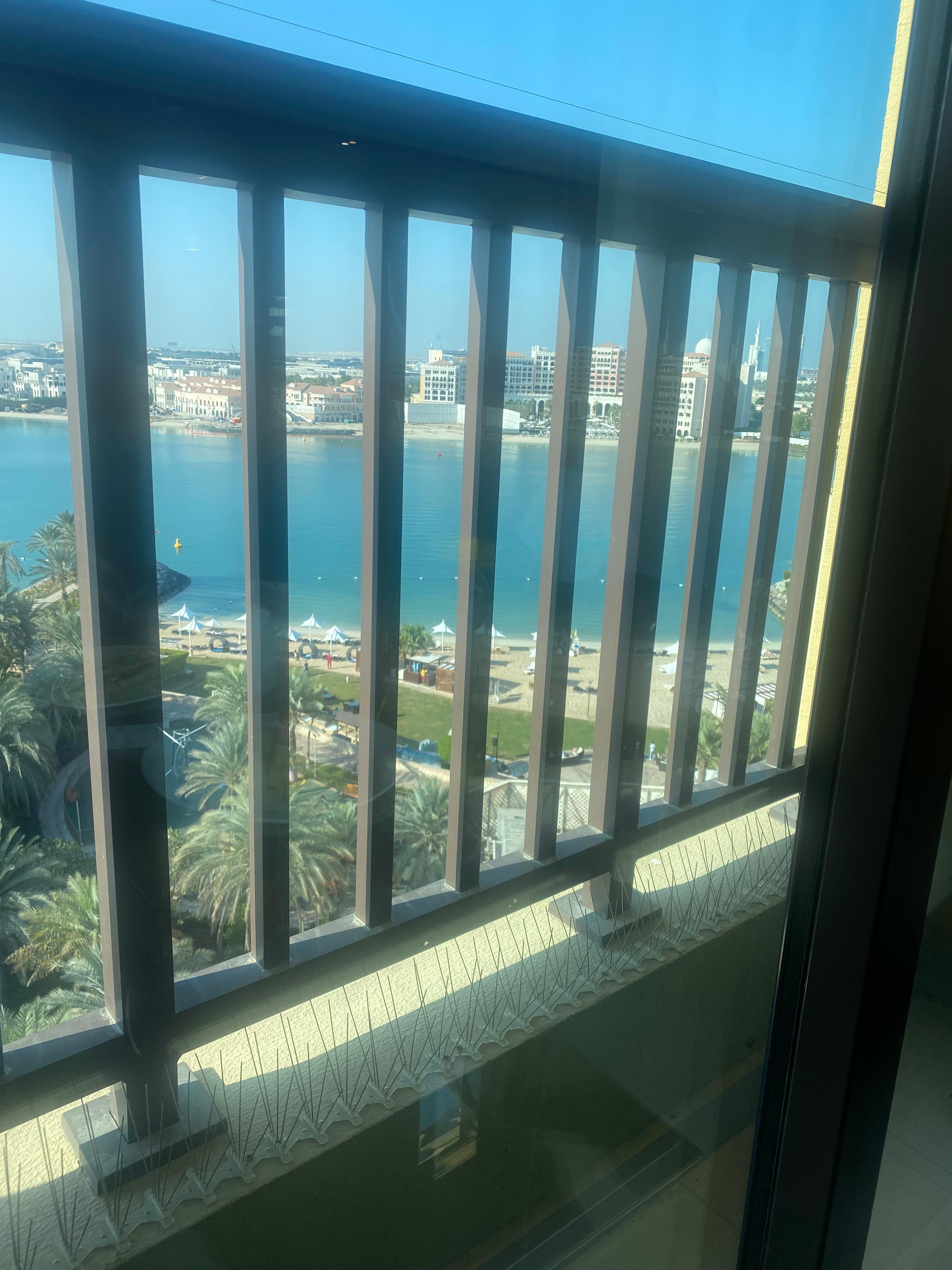 View from my balcony 