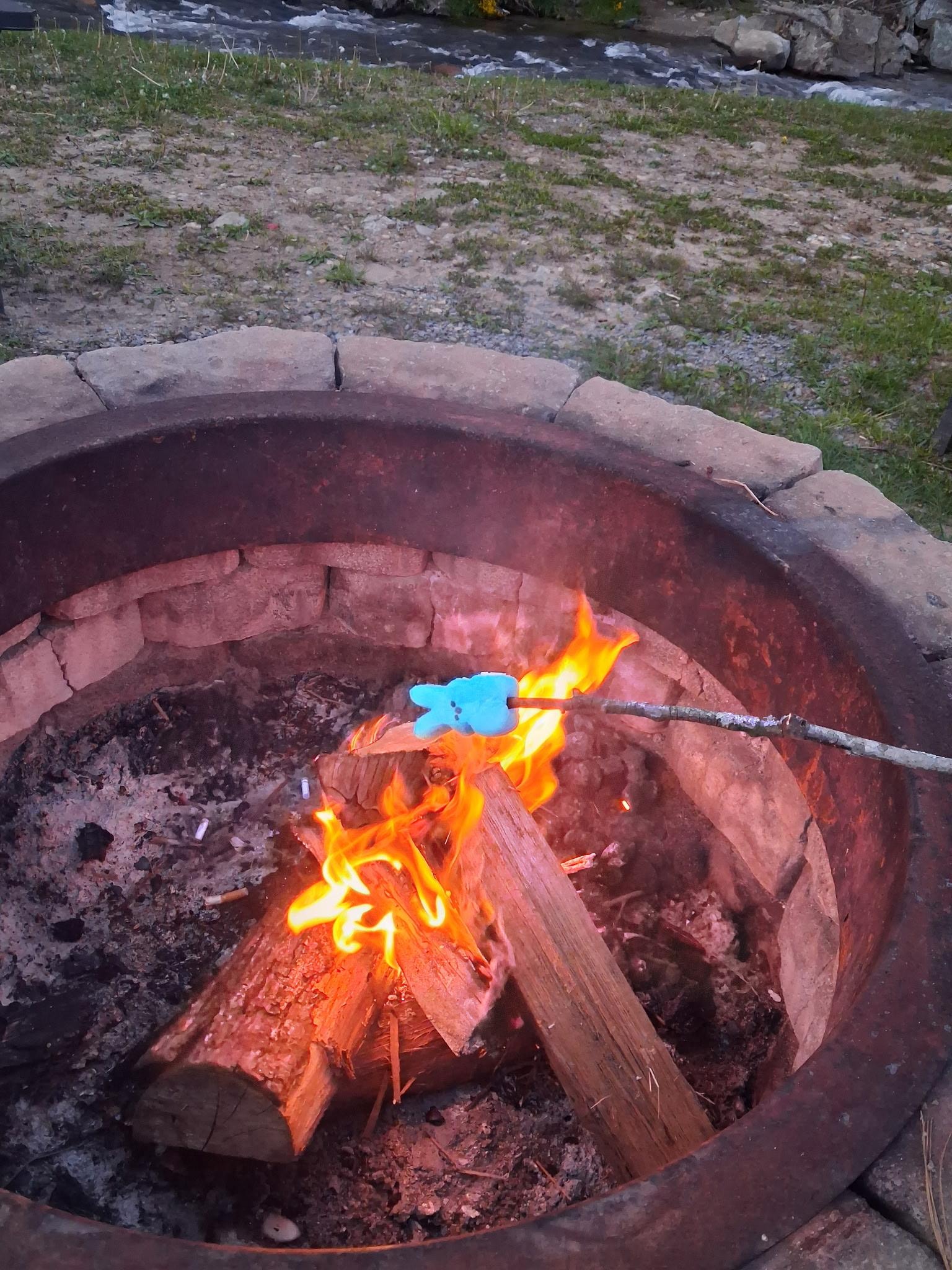 Roasting peeps at the fire pit