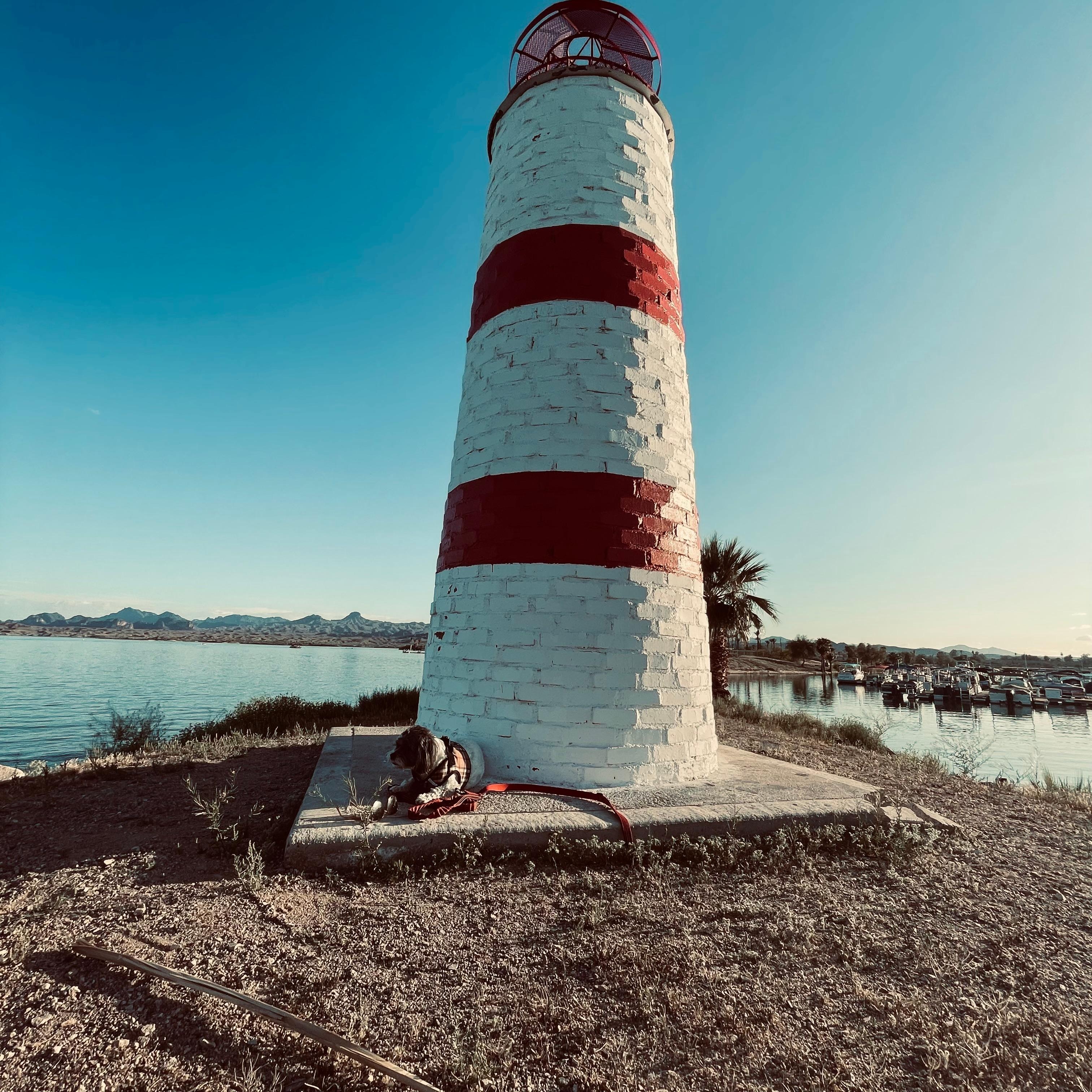 Lighthouses everywhere!