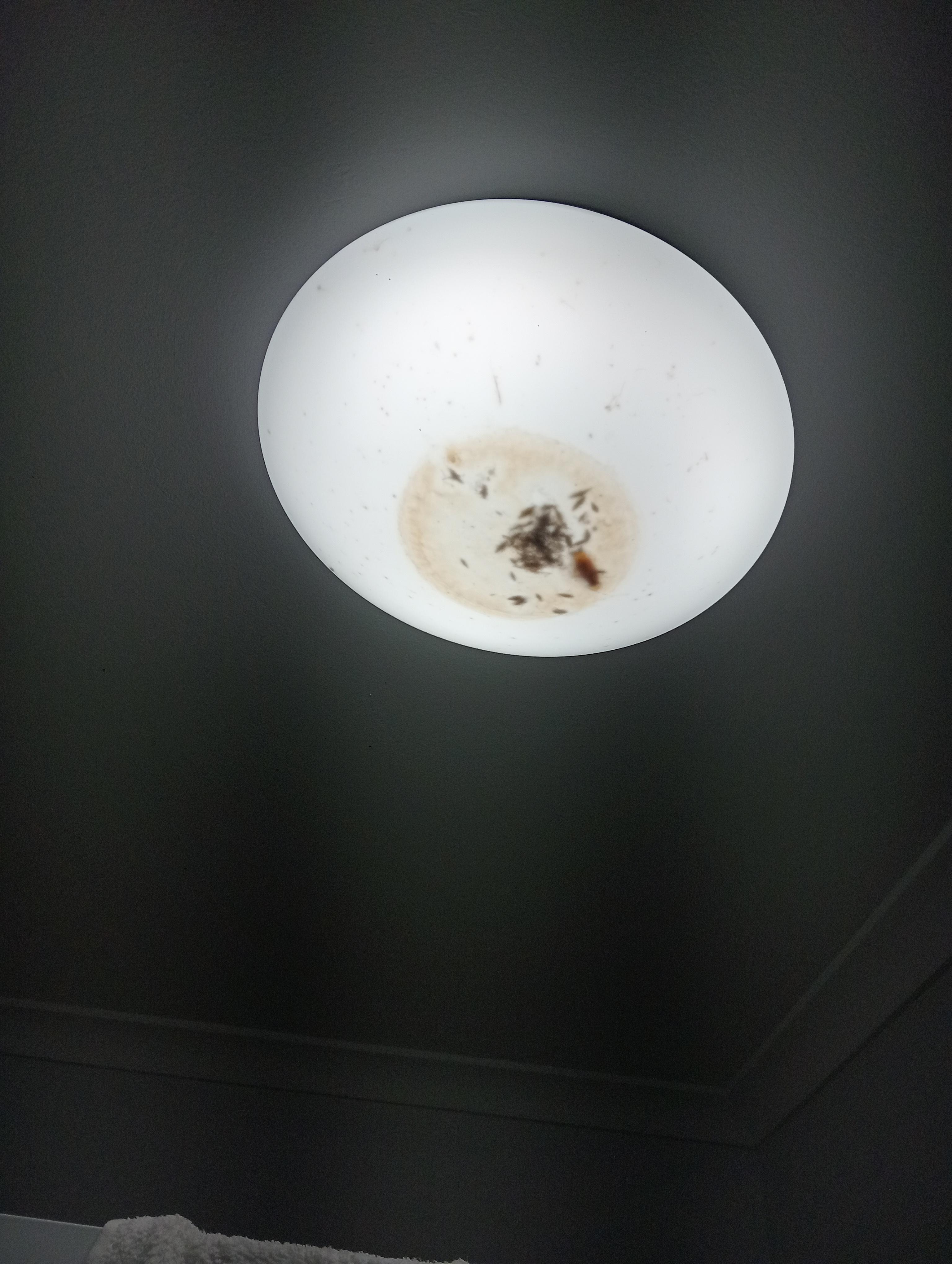 Not cleaned properly