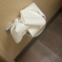 This is how the tissue was when we walked in the bathroom.