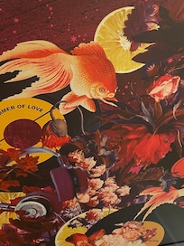 Lovely ceiling design in the toom