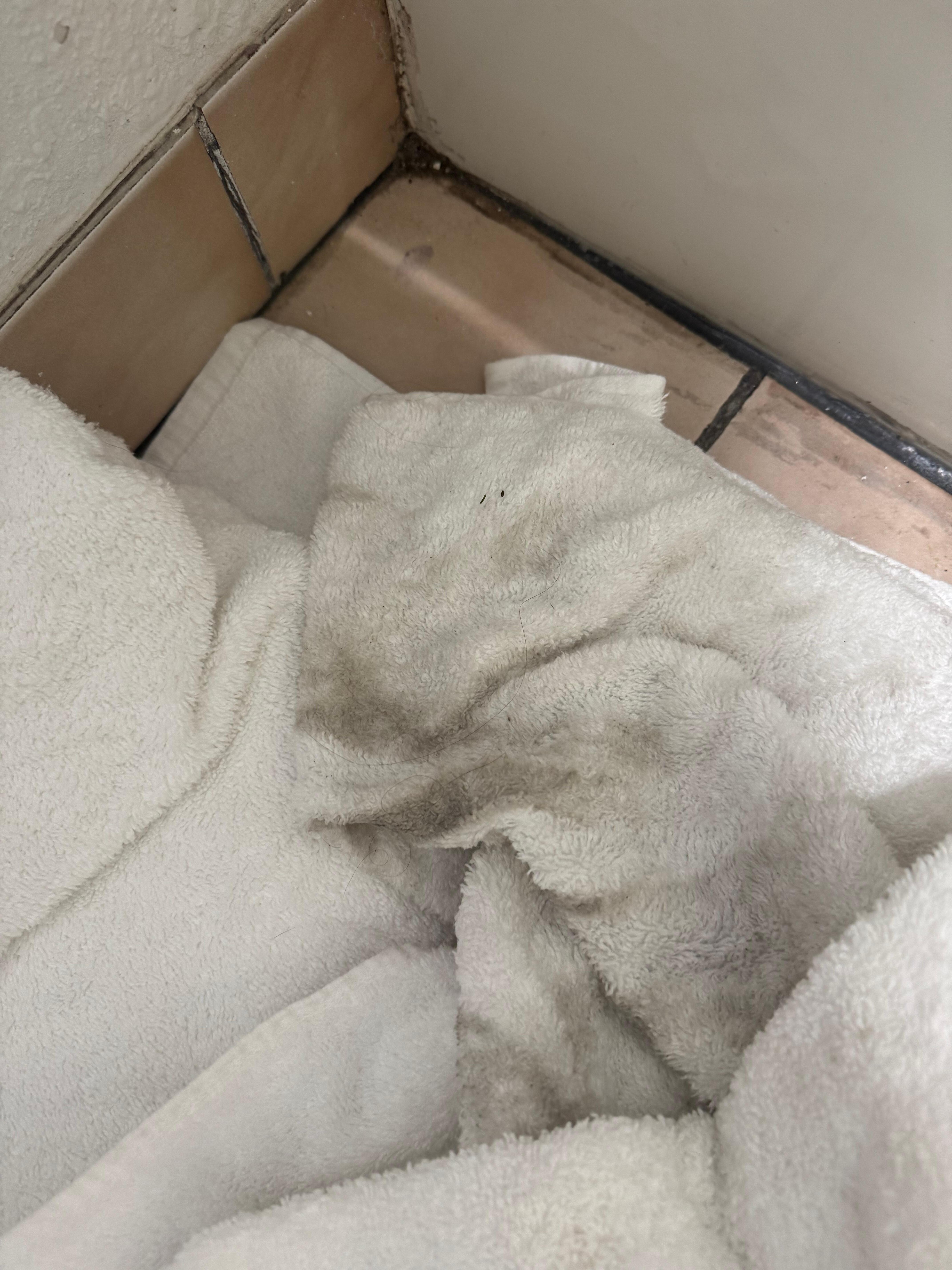 Wiped the towel on the floor to clean up some water. This is how dirty the floor was. 