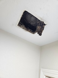 Black mold, hole in bathroom