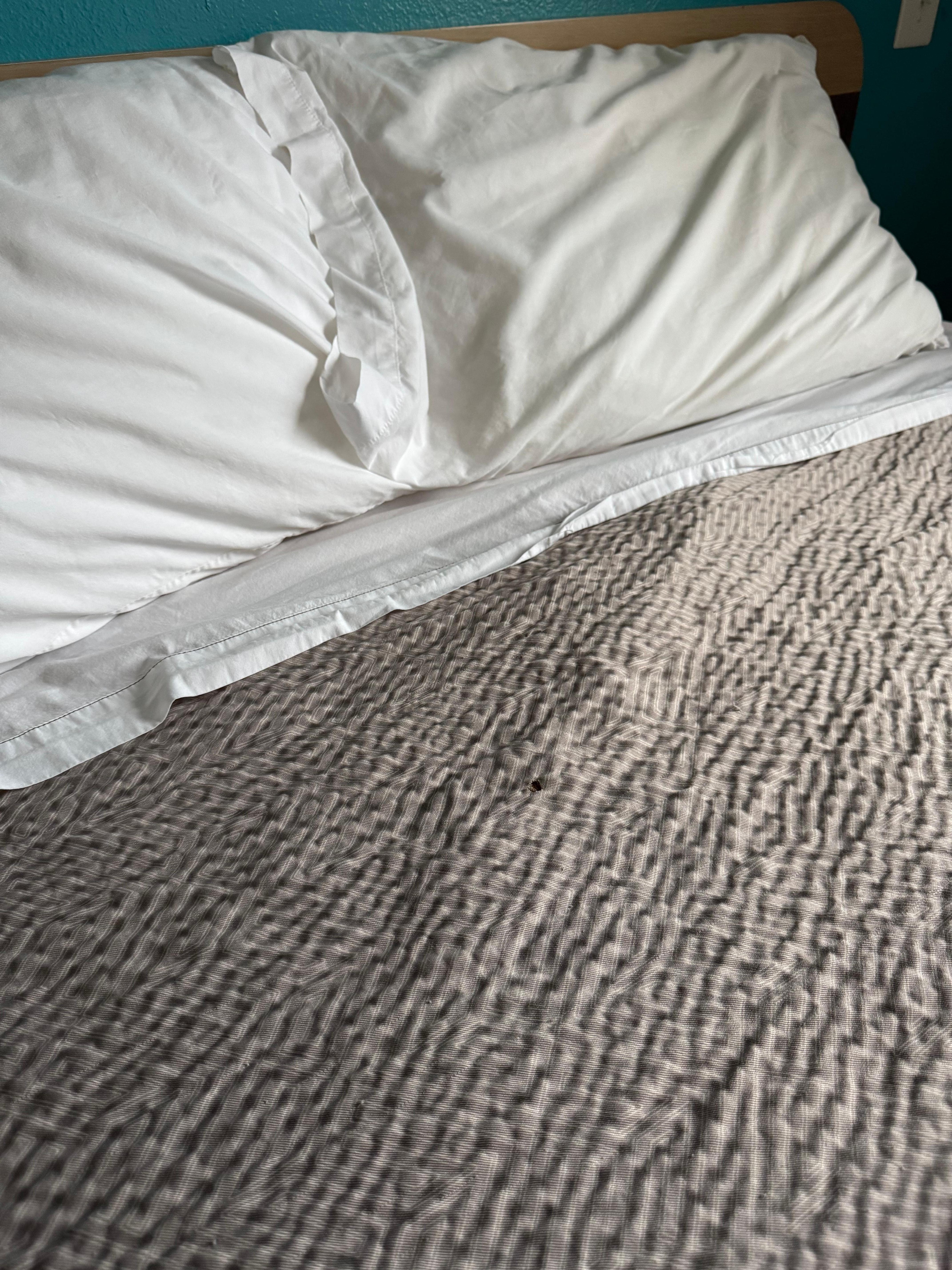 Burn holes on the bedding
