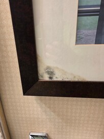 Mold in the restroom inside the picture frame.