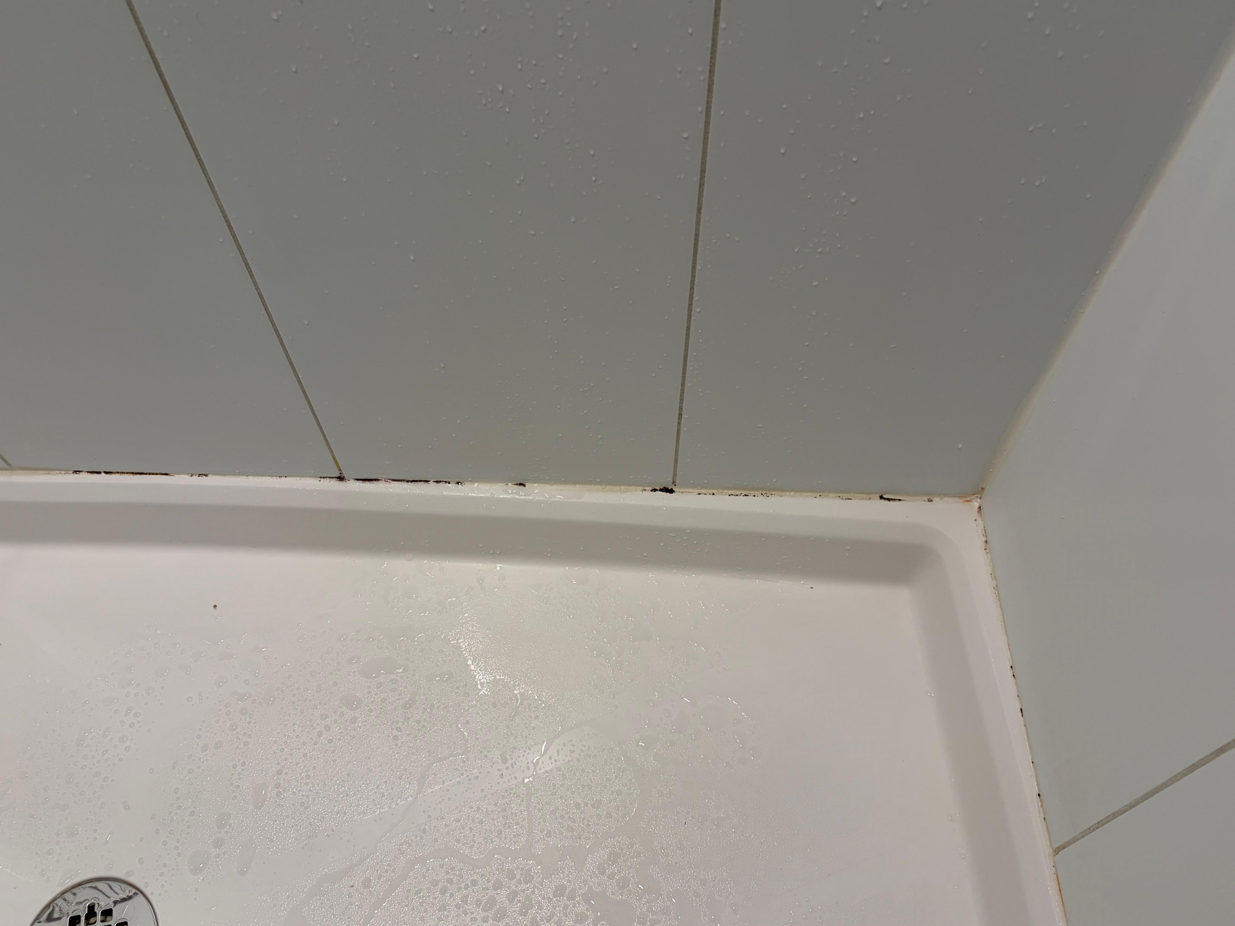 Mold or rust in shower
