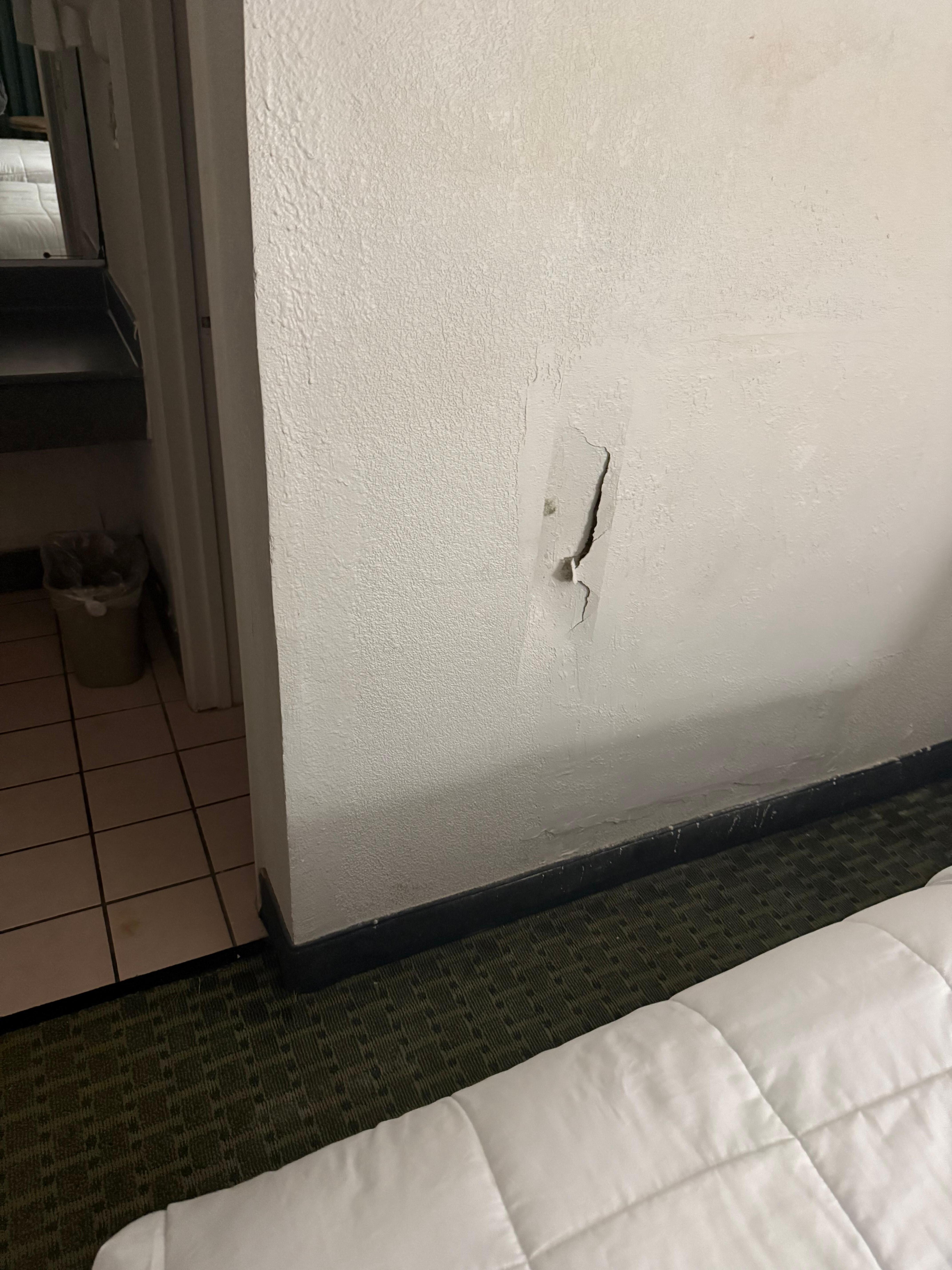 Mold in broken and soft wall