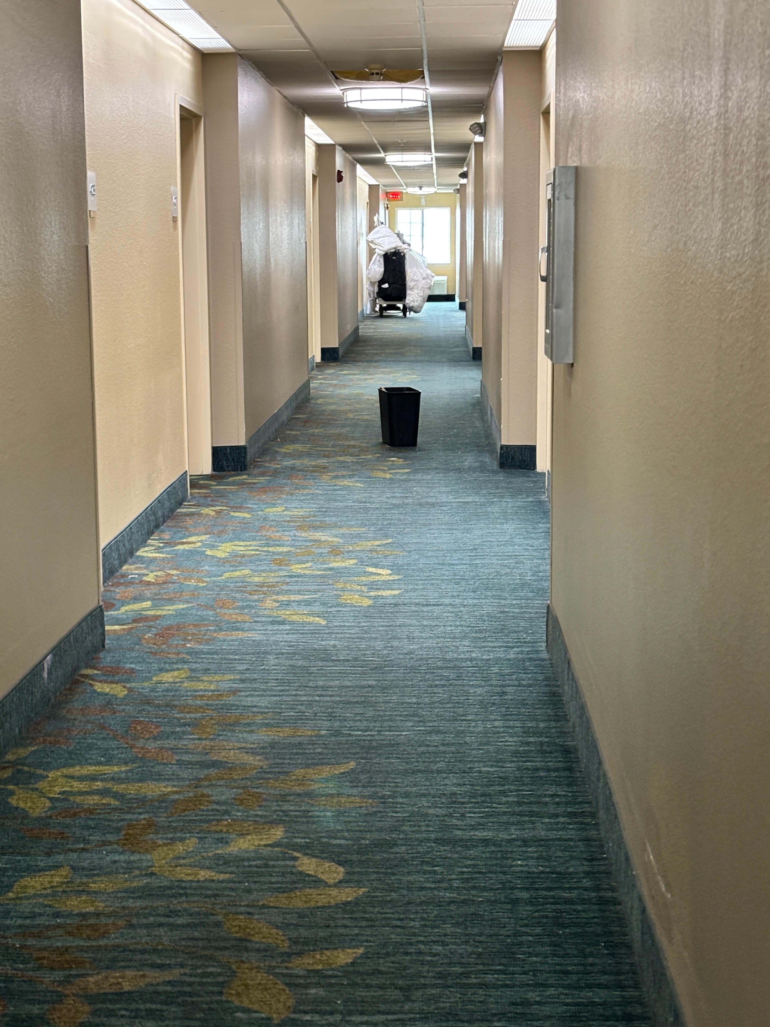Random trash can in the middle of the floor. For a leak?