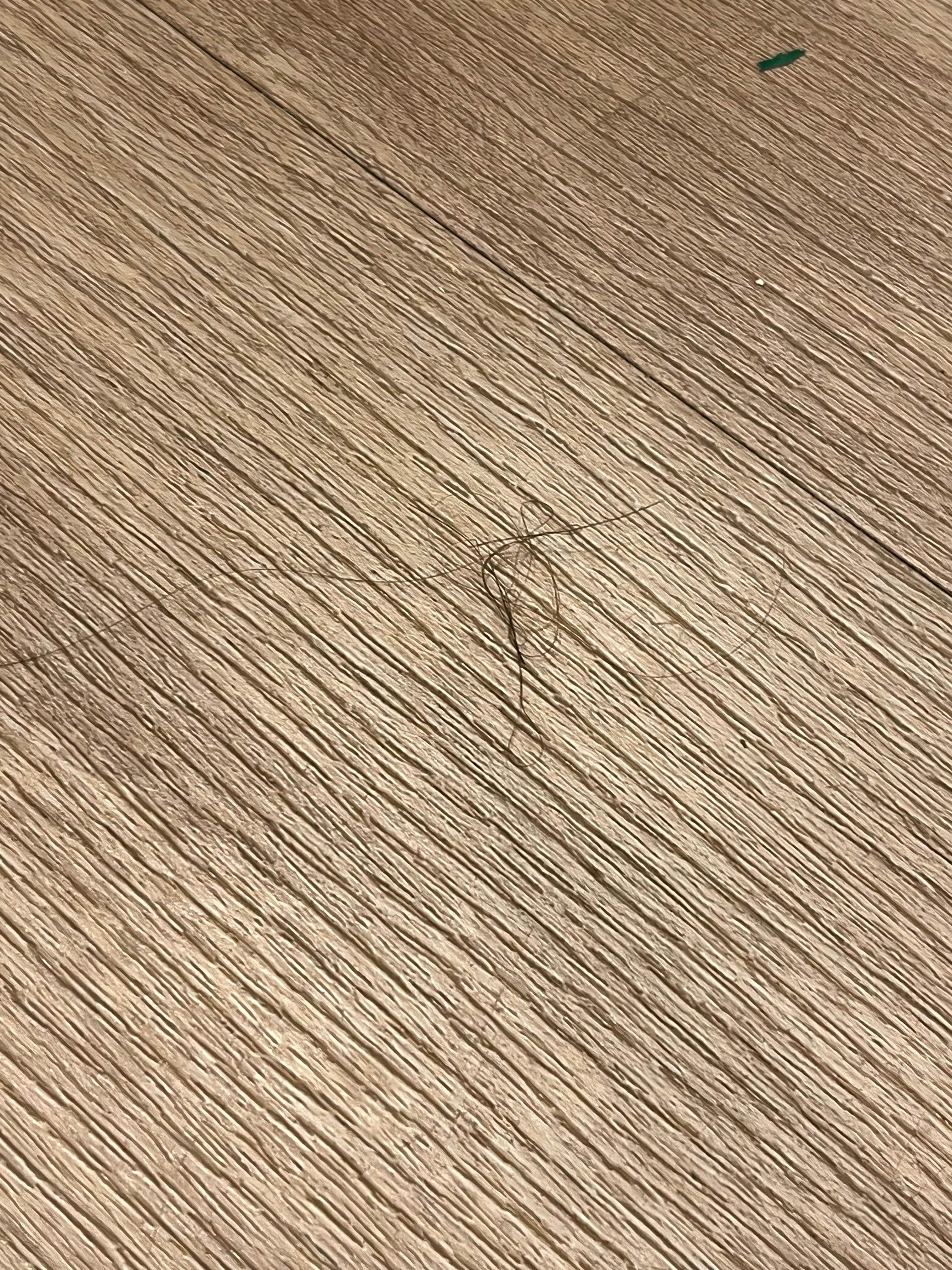 Clump of hair on floor