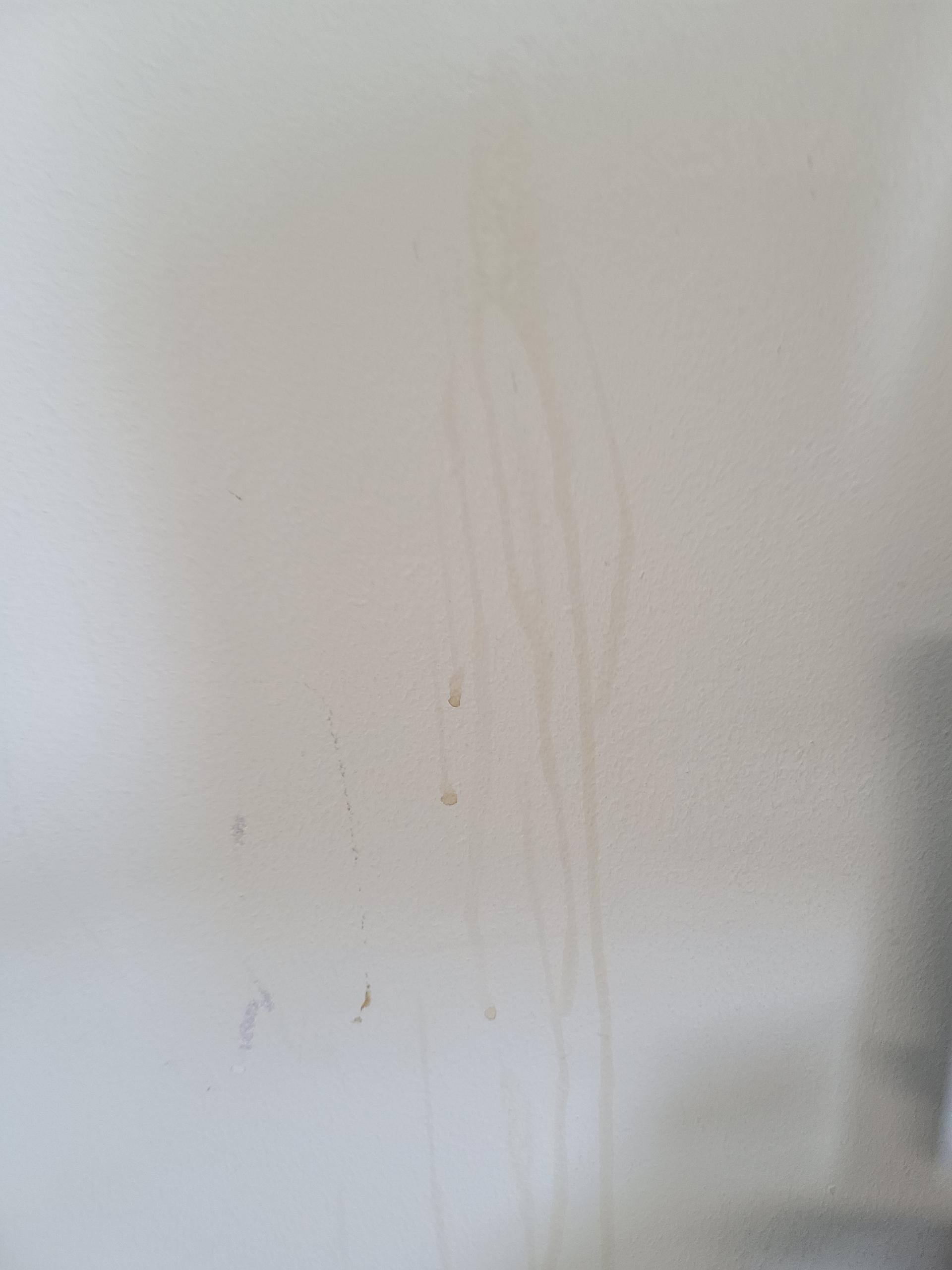 More pee