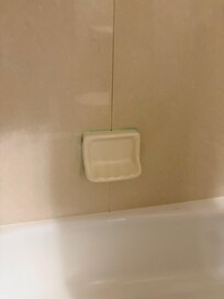 mold/mildew in shower/tub