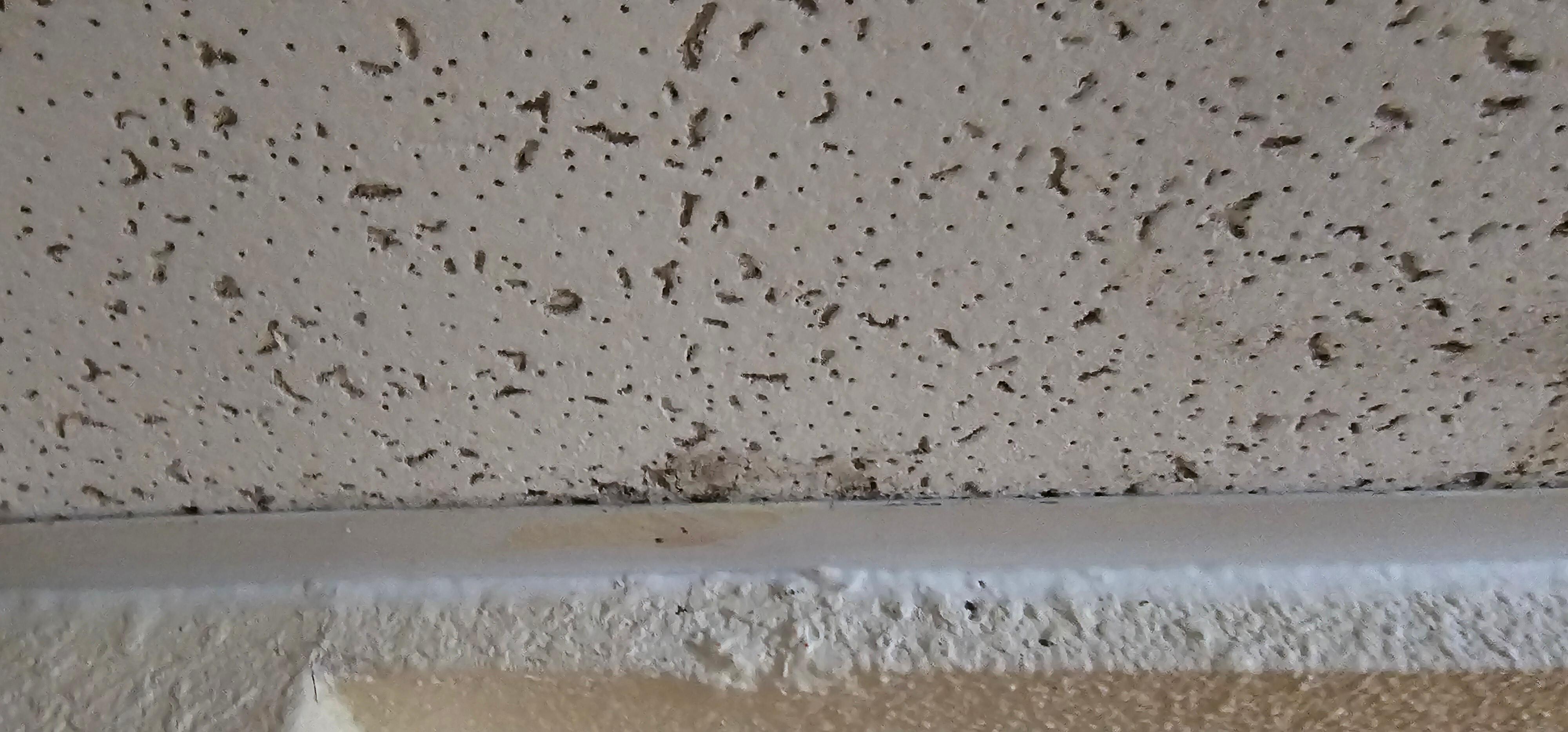 Mold