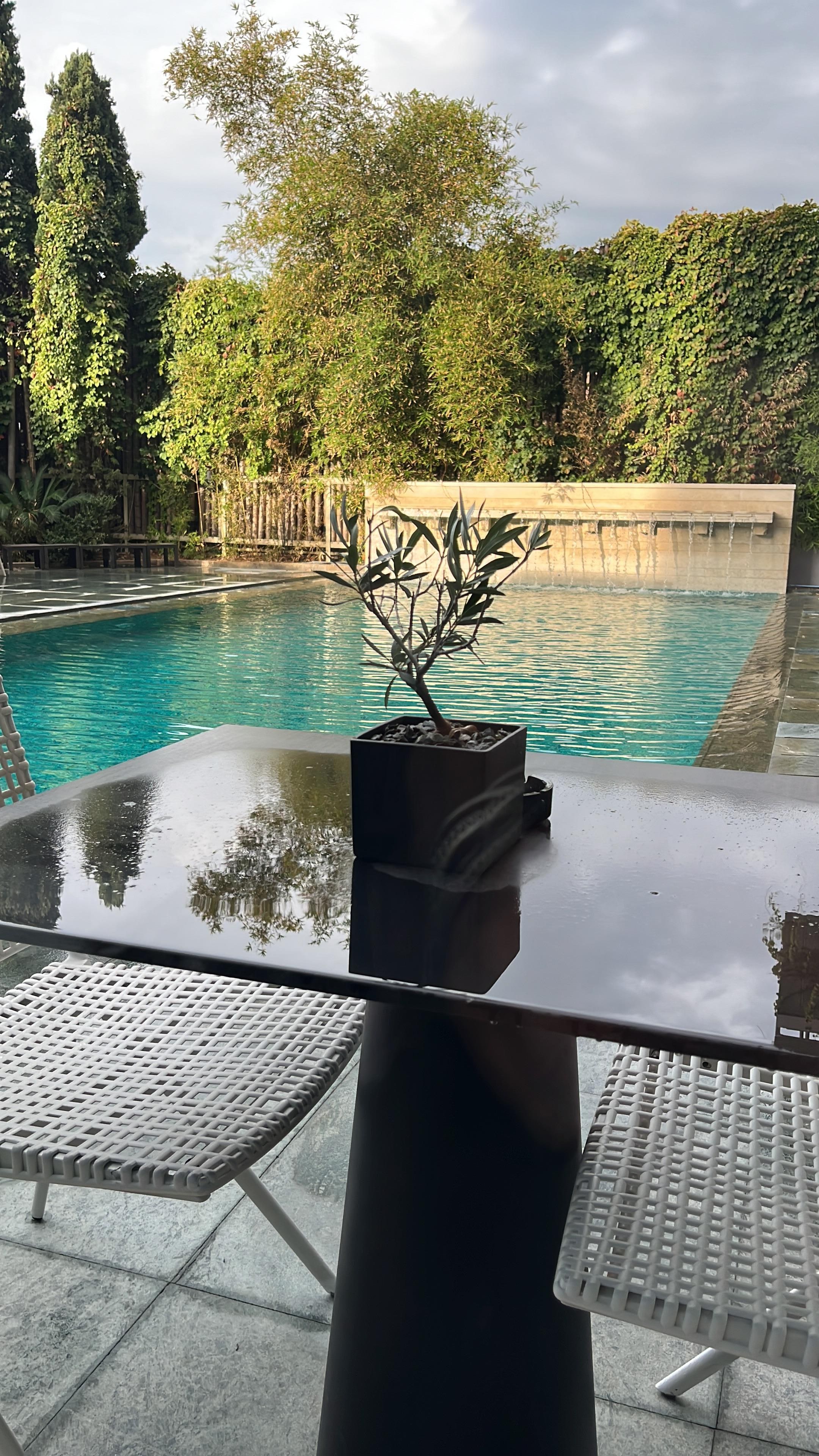 Rolig og vakker frokostområde