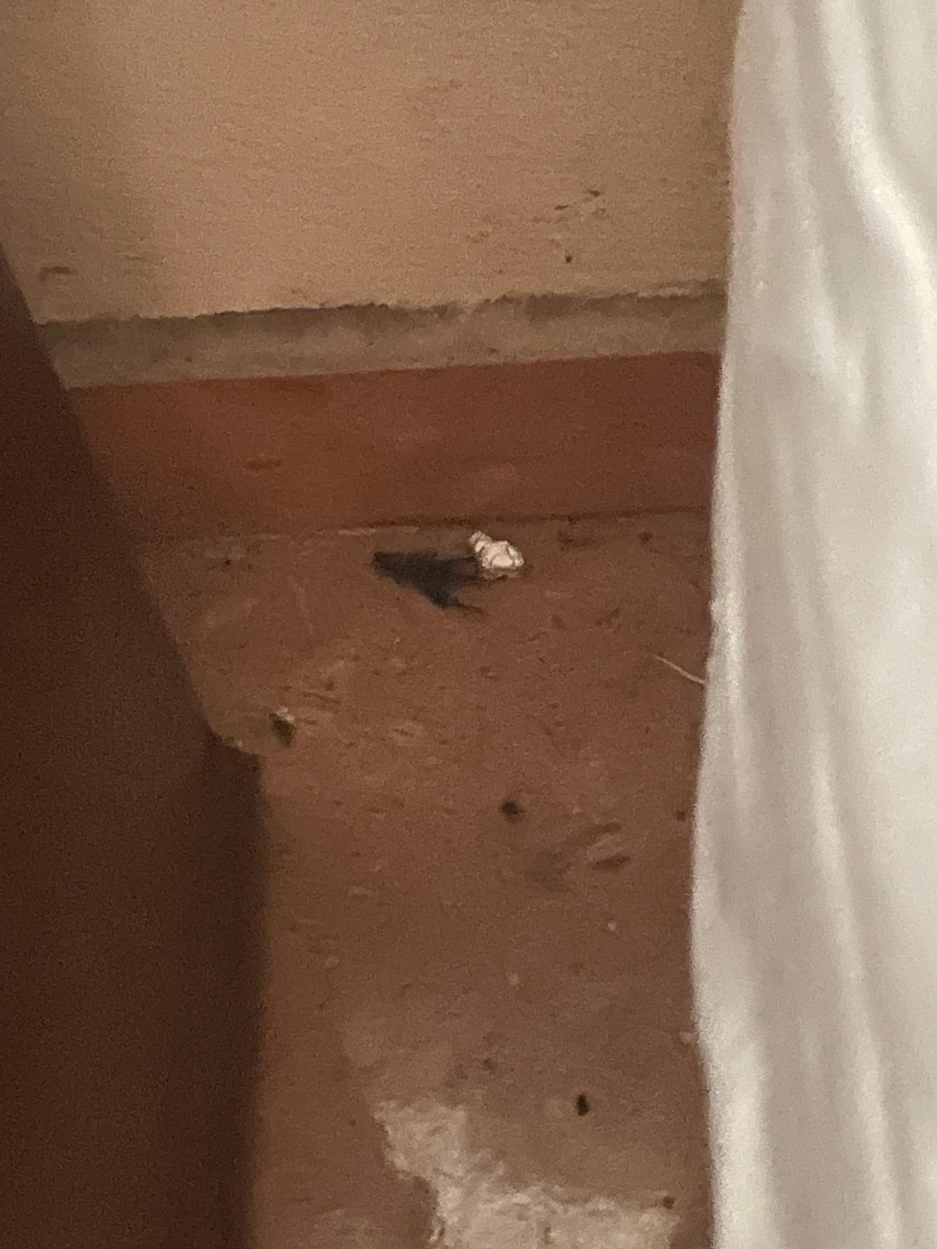 Basura de días a pesar de hacer el aseo 