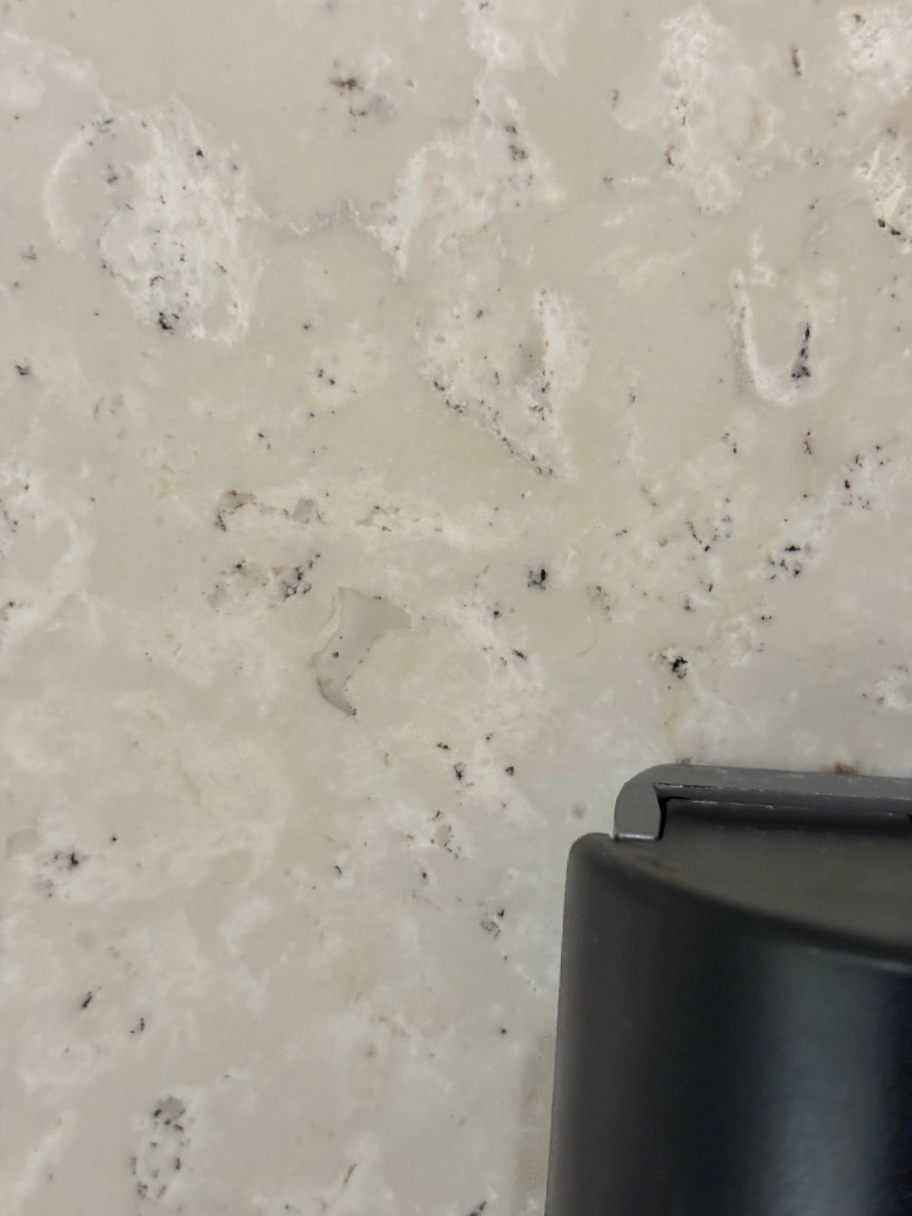 Black mold in shower