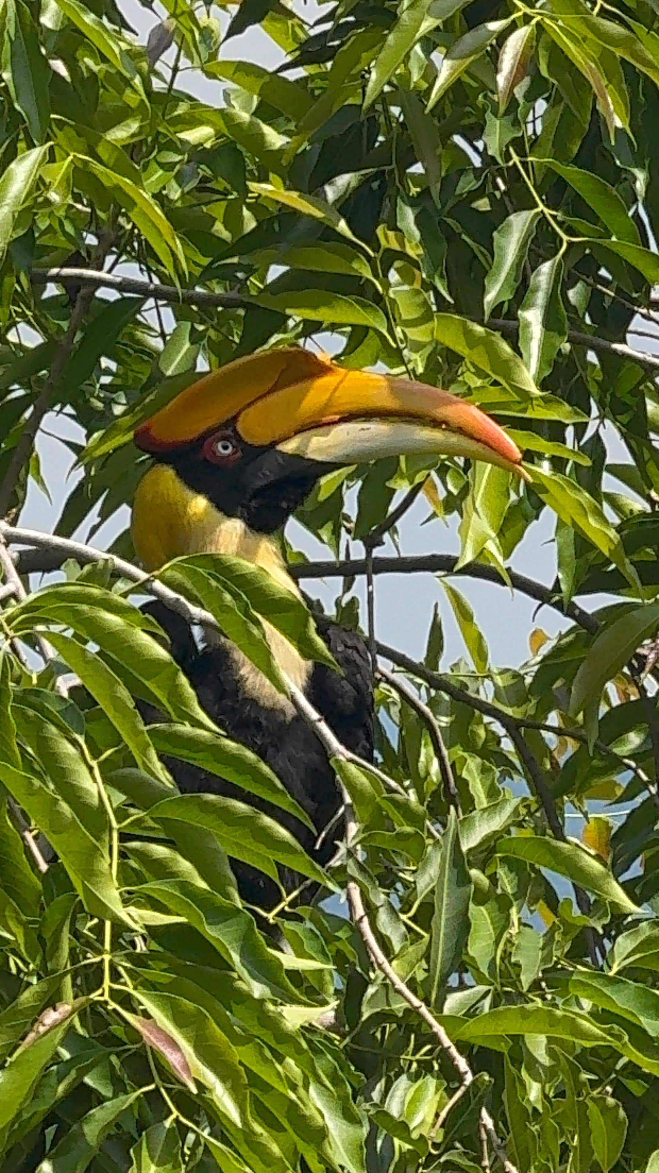 Frühstücksgäste ;-), ein beeindruckendes Erlebnis