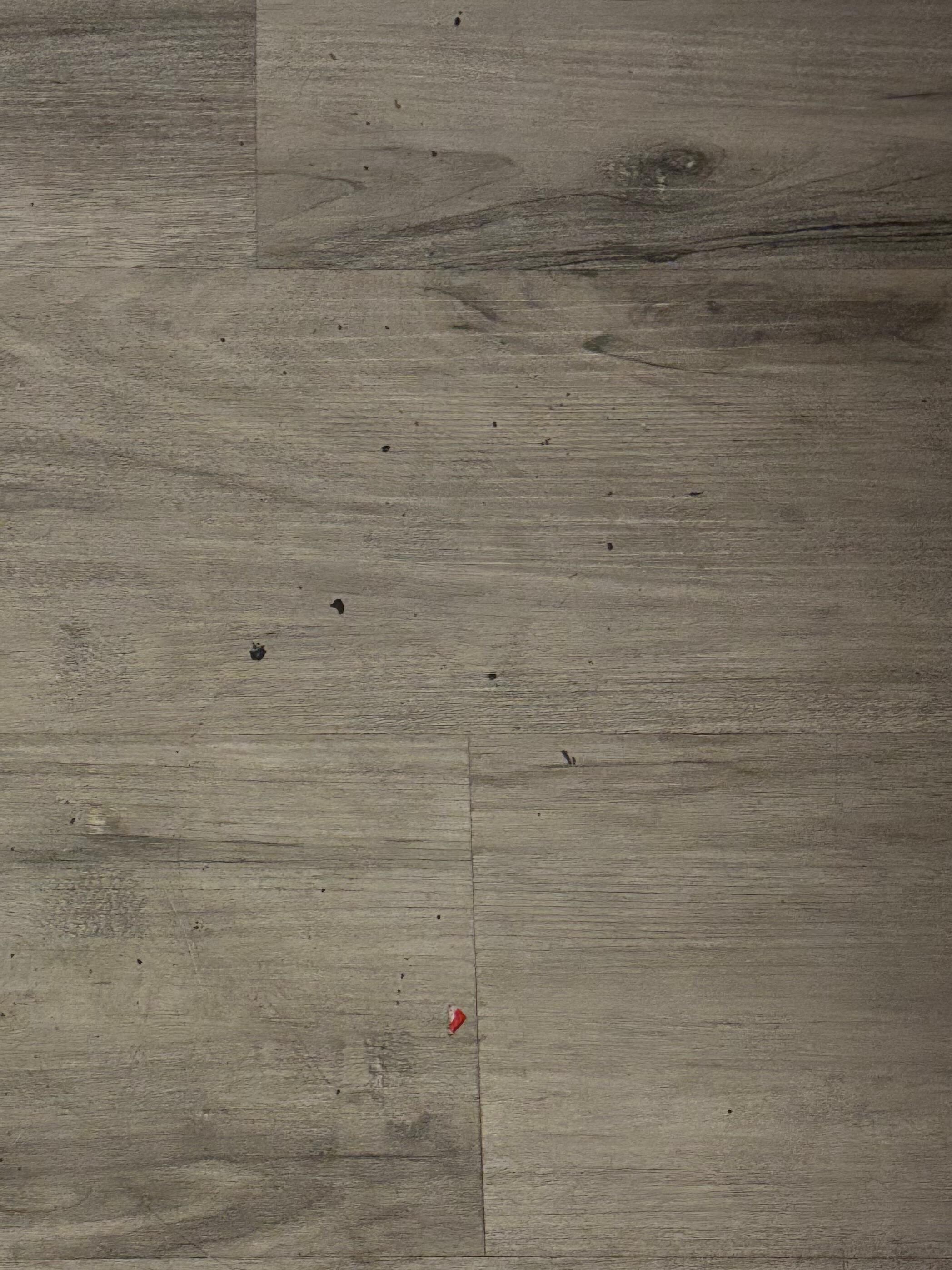 So much dirt on the floor!