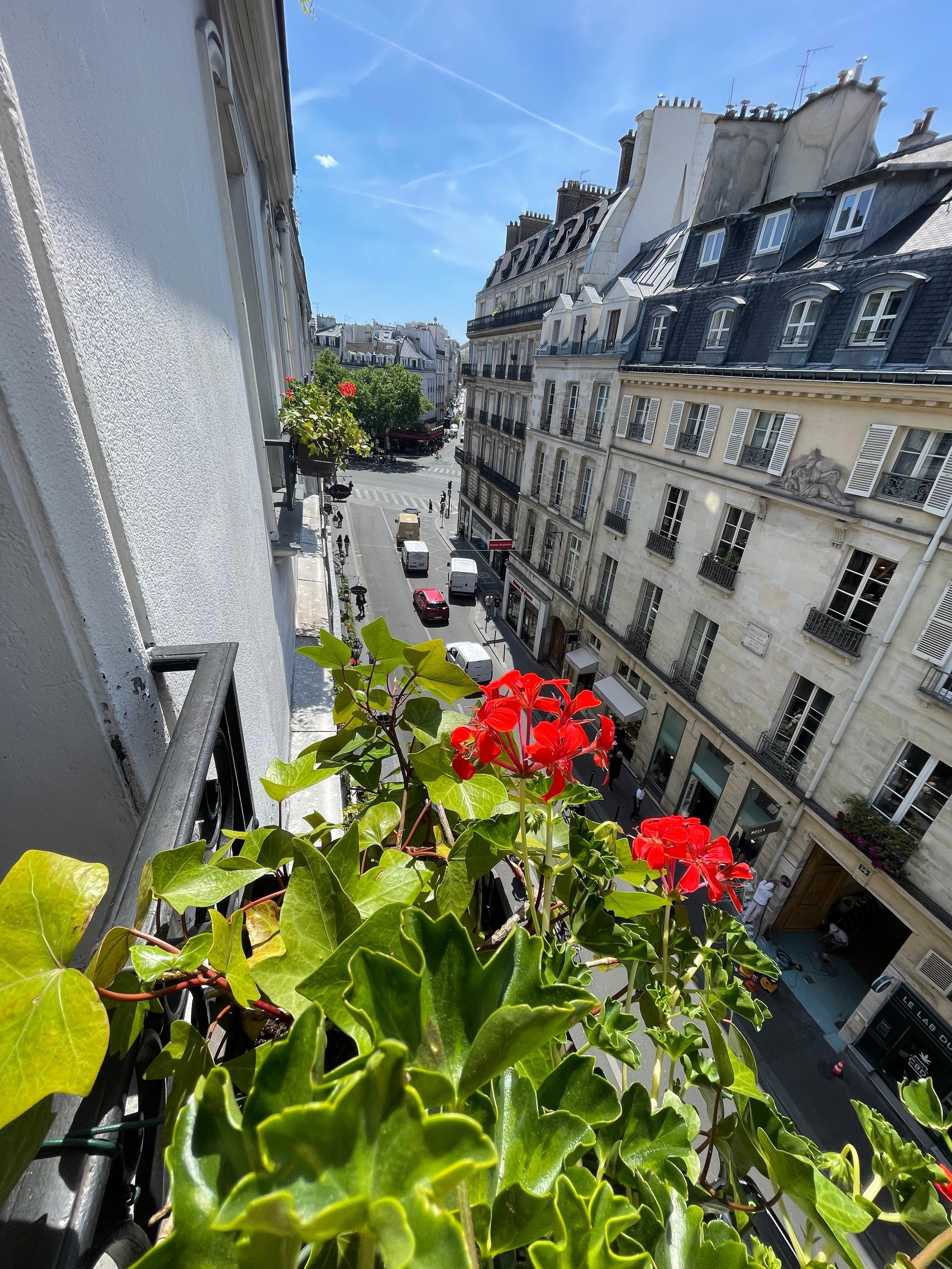 View from 4th floor window