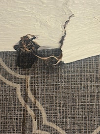 mold fungi growing from bathroom ceiling