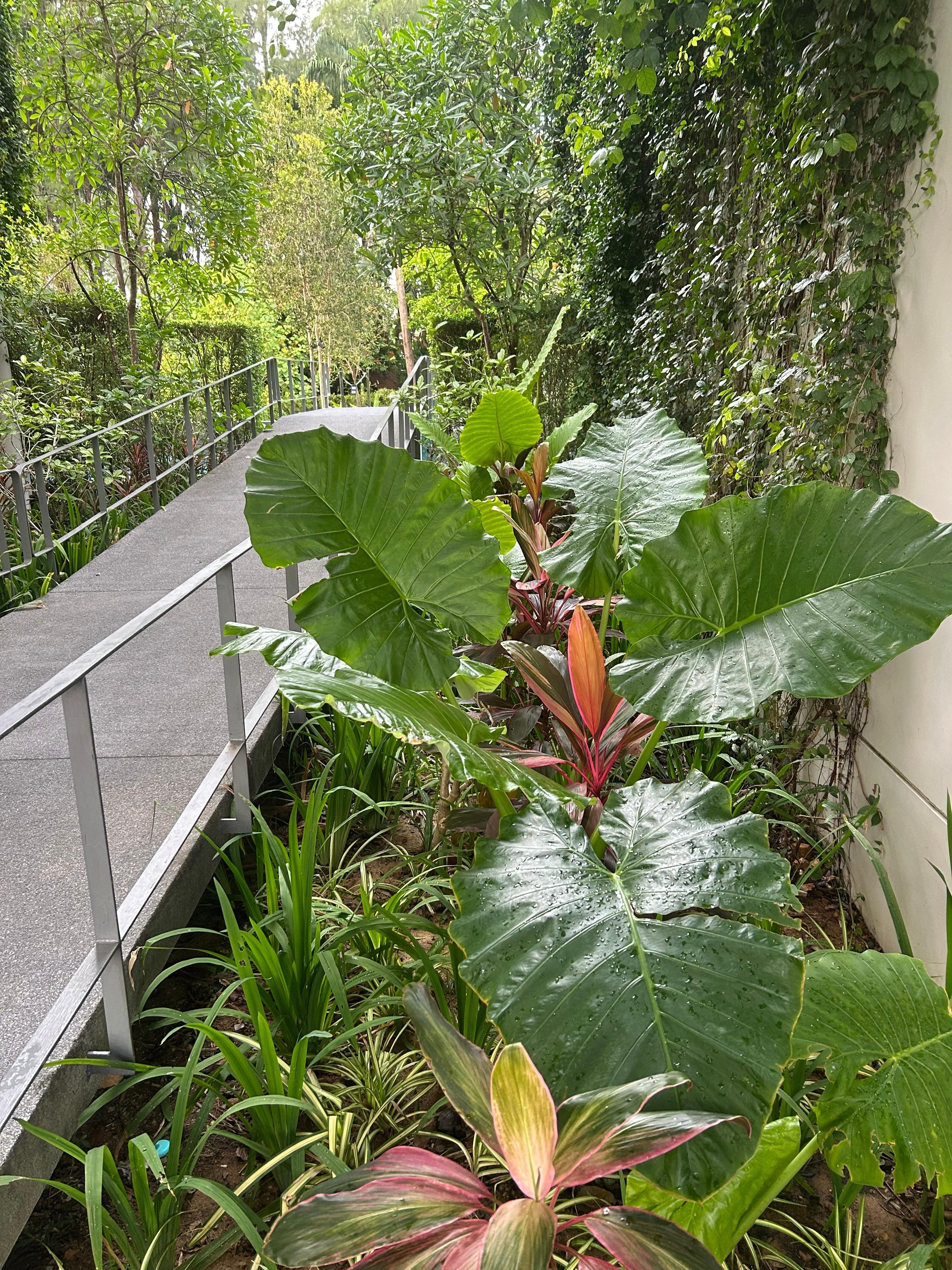 Välskött trädgård med dammar och djur