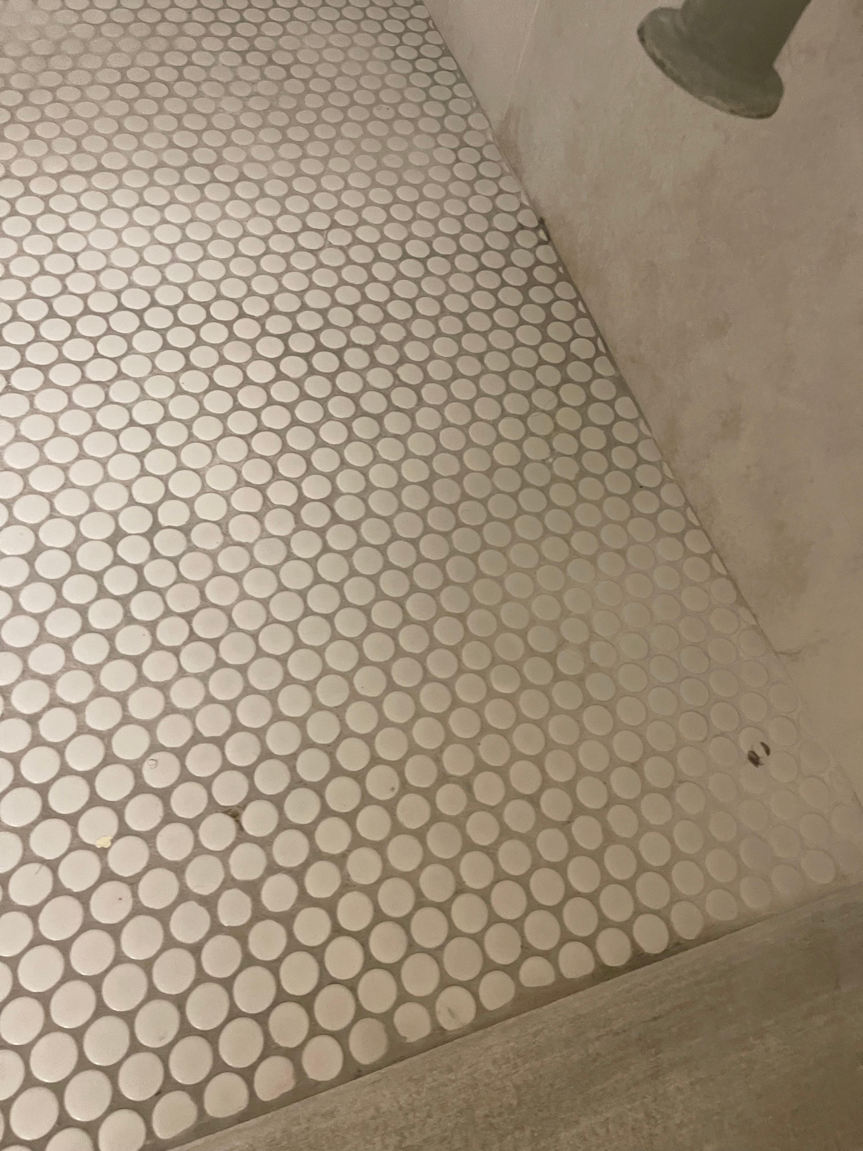 Shower floor