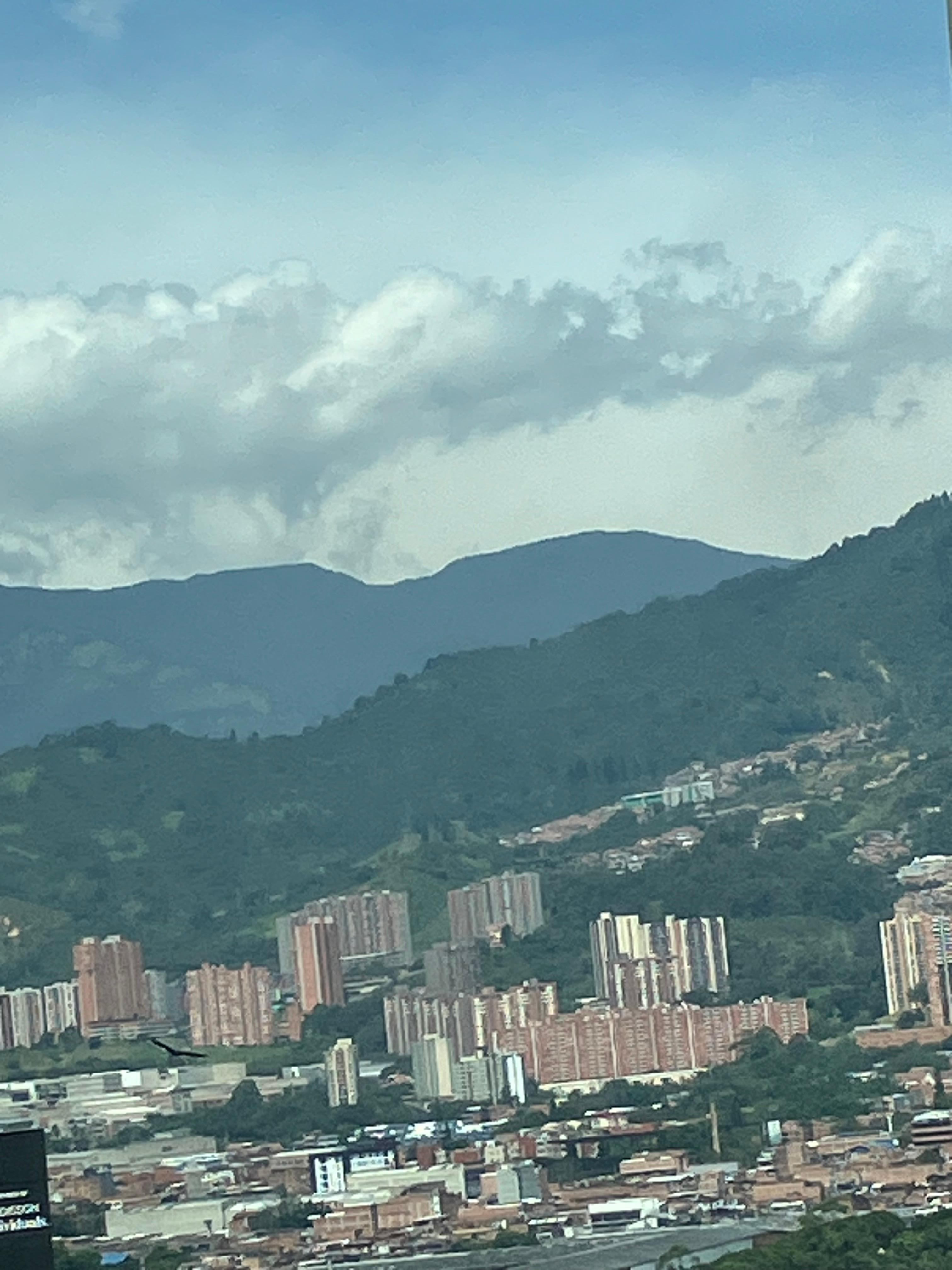 Morning view from the room. 