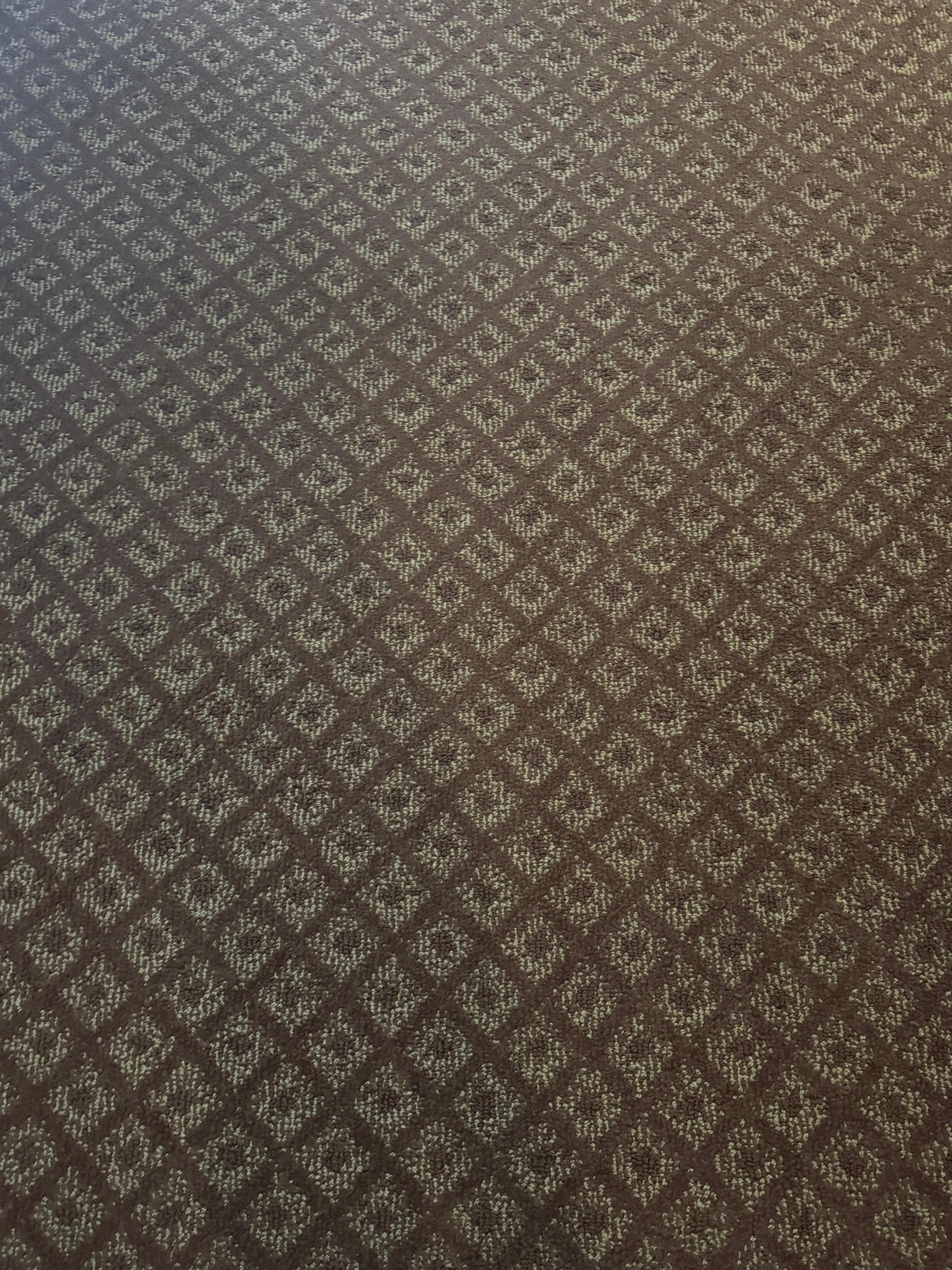 Dirty smelly carpet in room. It’s just too old 