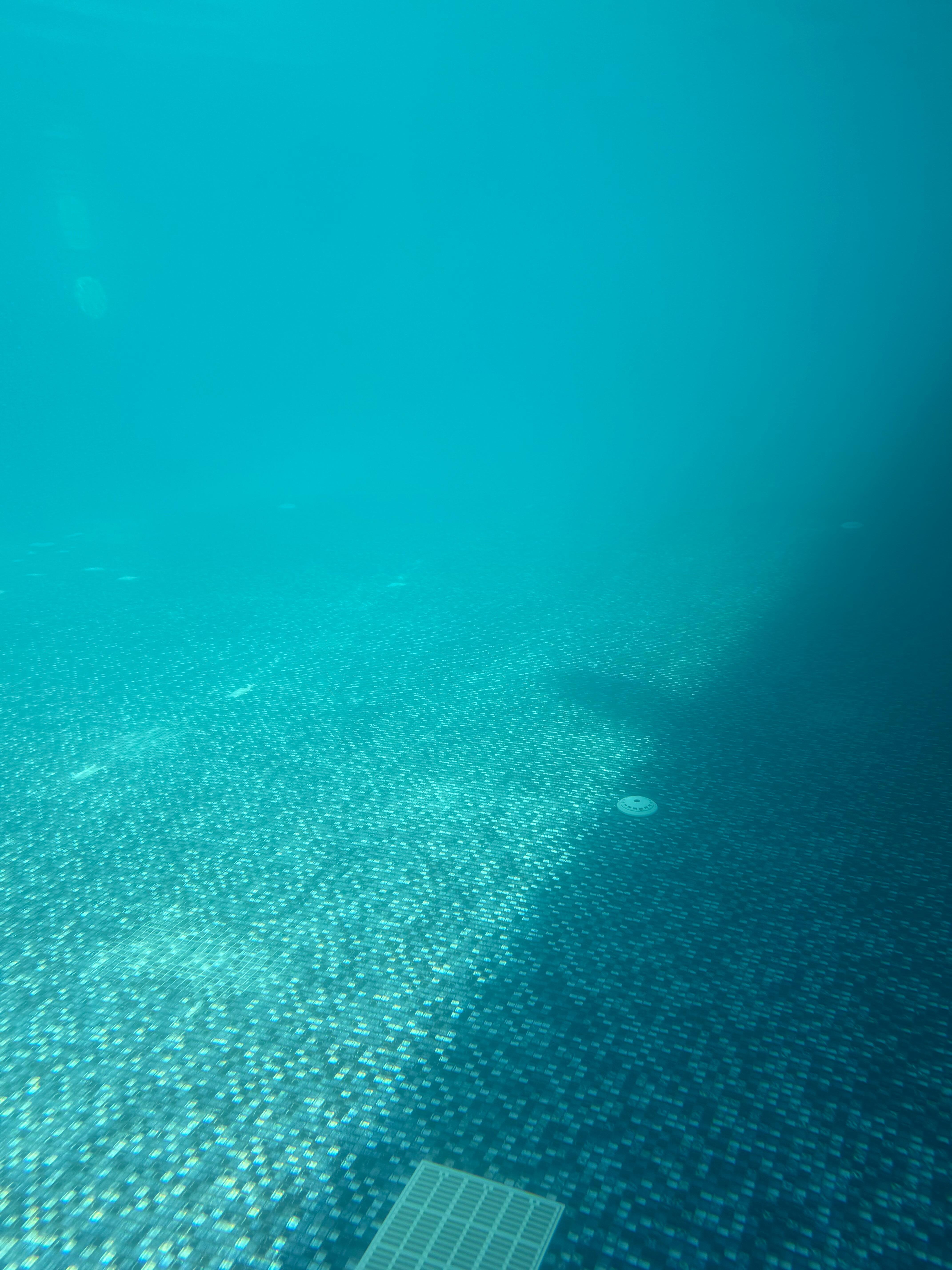 Trübes Poolwasser
