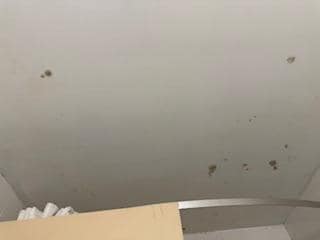 Bathroom Mold