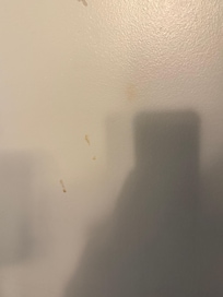 Stuff dripping down the walls all over the place