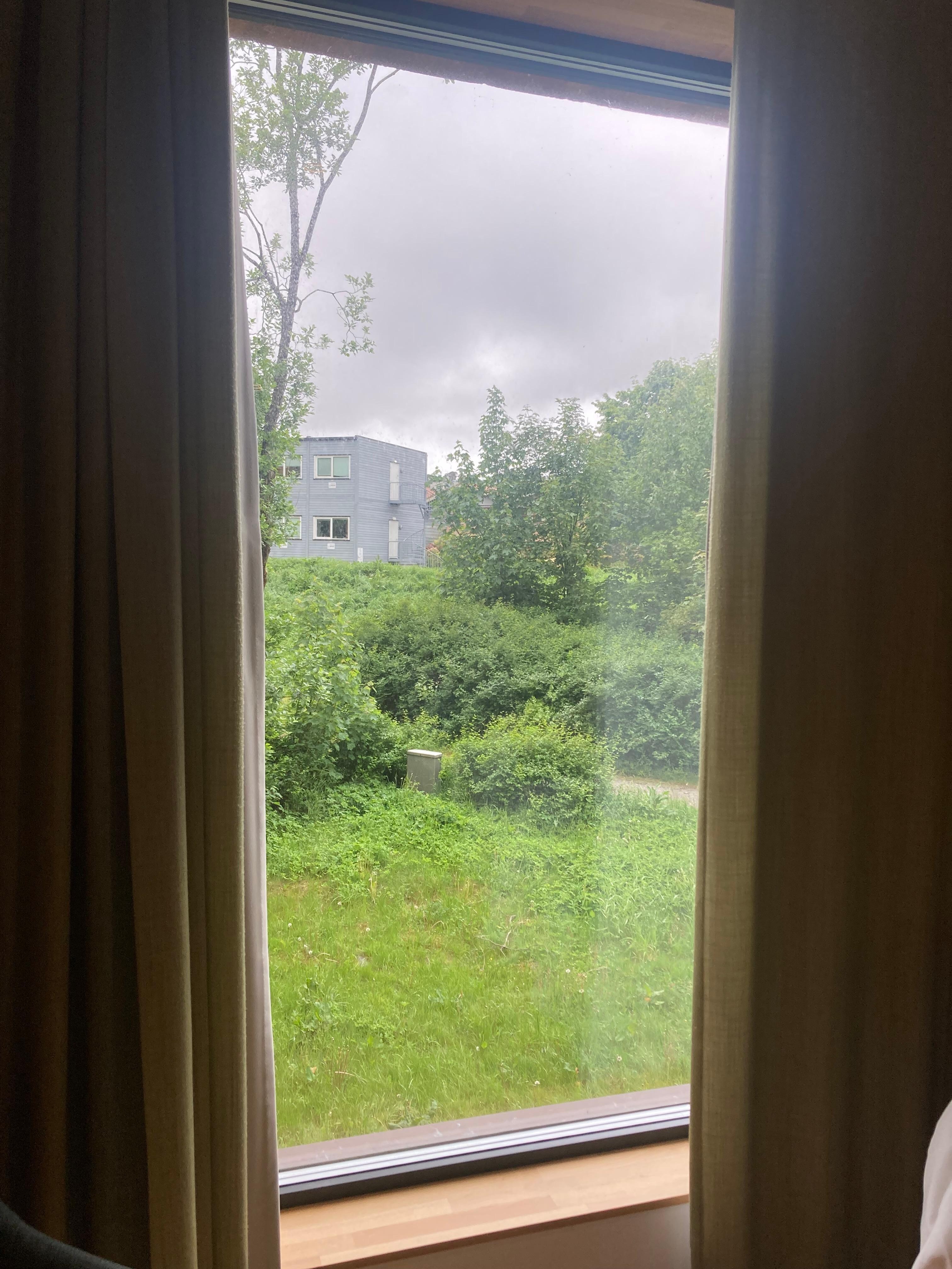 Behagelig utsikt. 