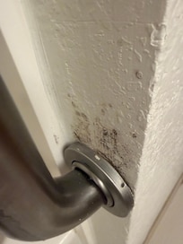 Concerning black mold like growth in the bathroom
