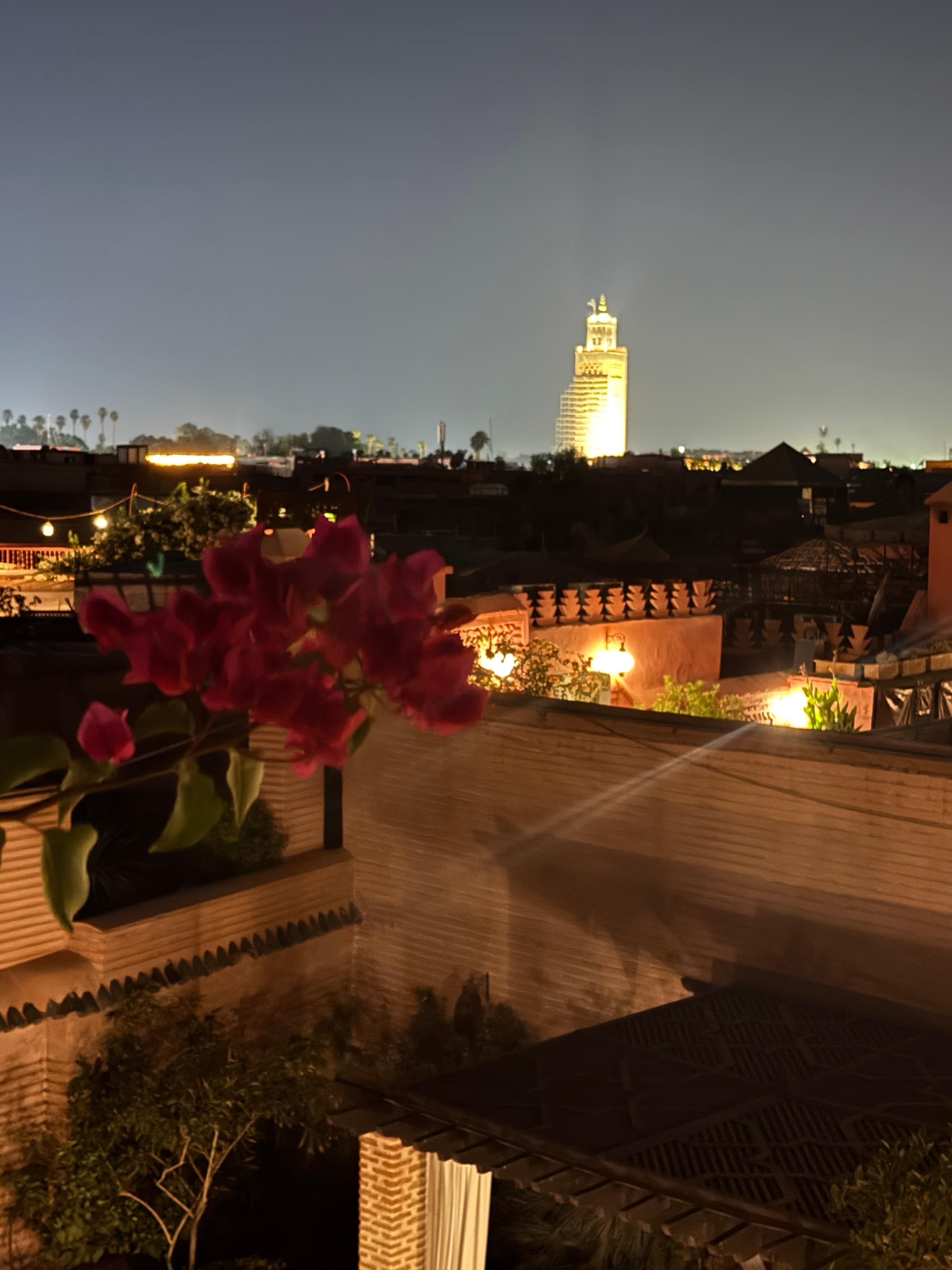 View from the roof terrace