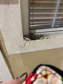 Right outside the lobby of a non-smoking hotel